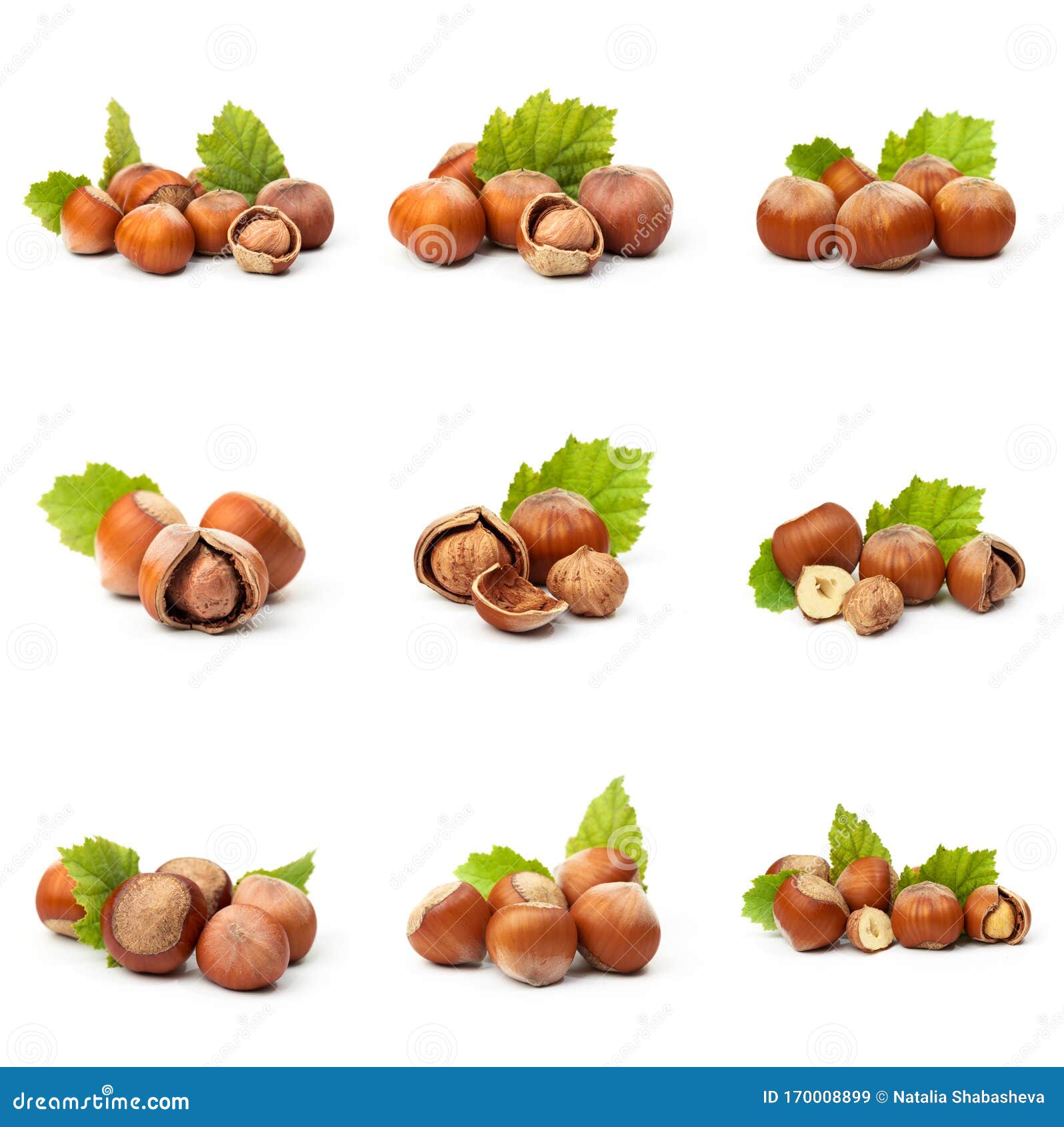 Set of Hazelnut Nut Many Leaves Isolated on a White Background As a ...