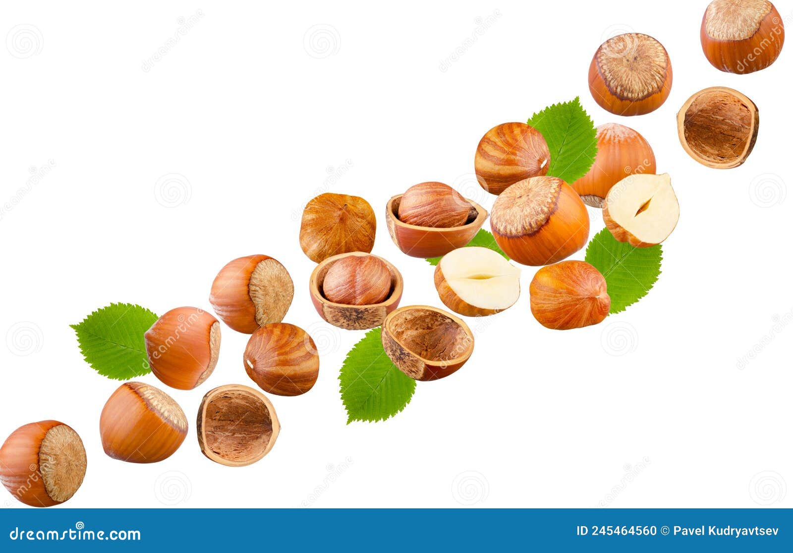 A Set of Hazelnuts, Whole Halves of the Kernel Peel and Leaves are ...