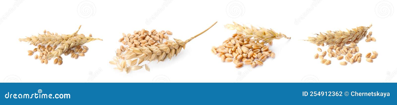 Set with Heaps of Wheat Grains on White Background. Banner Design Stock ...