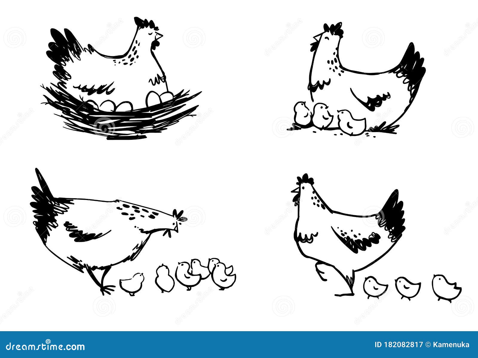 Set of Hens with Chicks and Hen Sitting on Eggs, Vector Line Art Stock ...