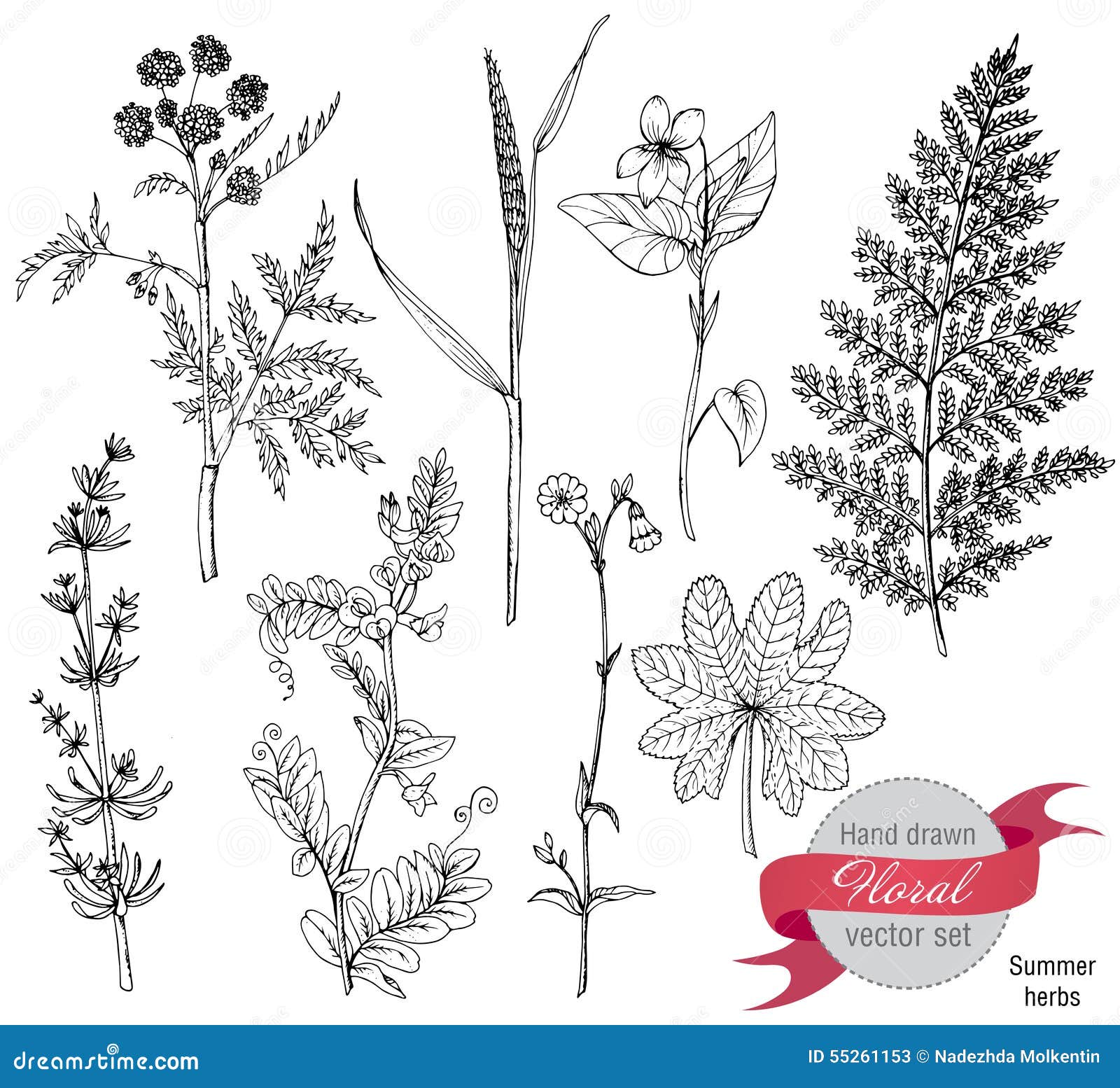Hand Drawn Set With Herbs And Flowers Cartoon Vector | CartoonDealer ... Hand Drawn Set With Herbs And Flowers Cartoon Vector | CartoonDealer ...