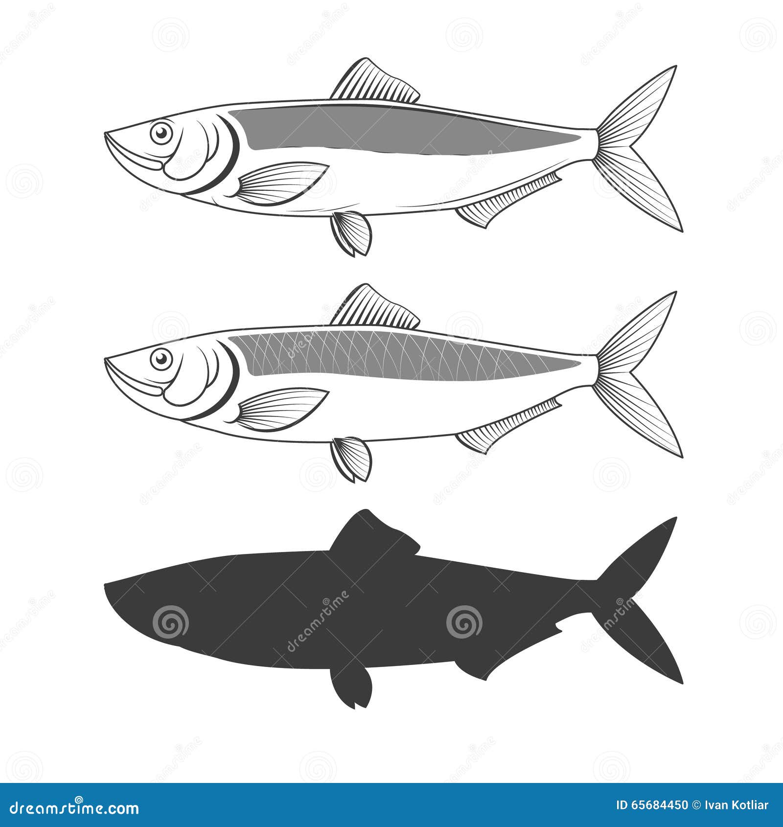 Set of Herring Fish Illustrations. Stock Vector - Illustration of life ...