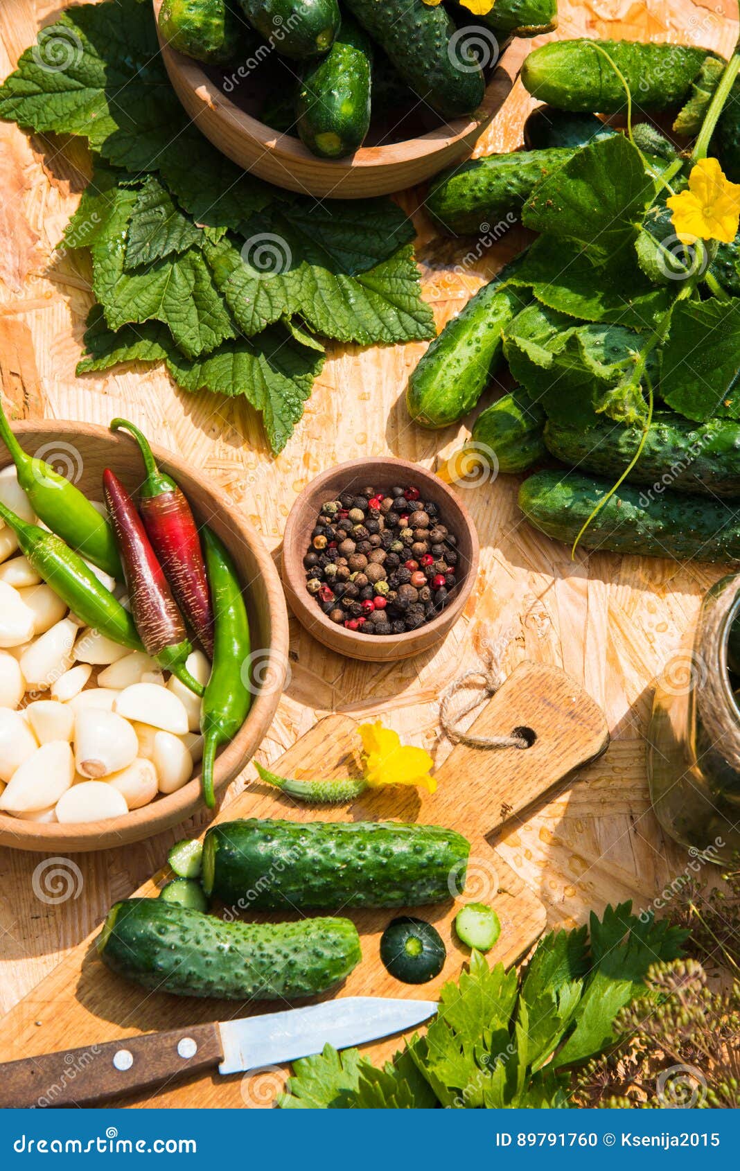 A Set for Home Canning. Pickling Cucumbers. Herbs and Spices. Stock ...