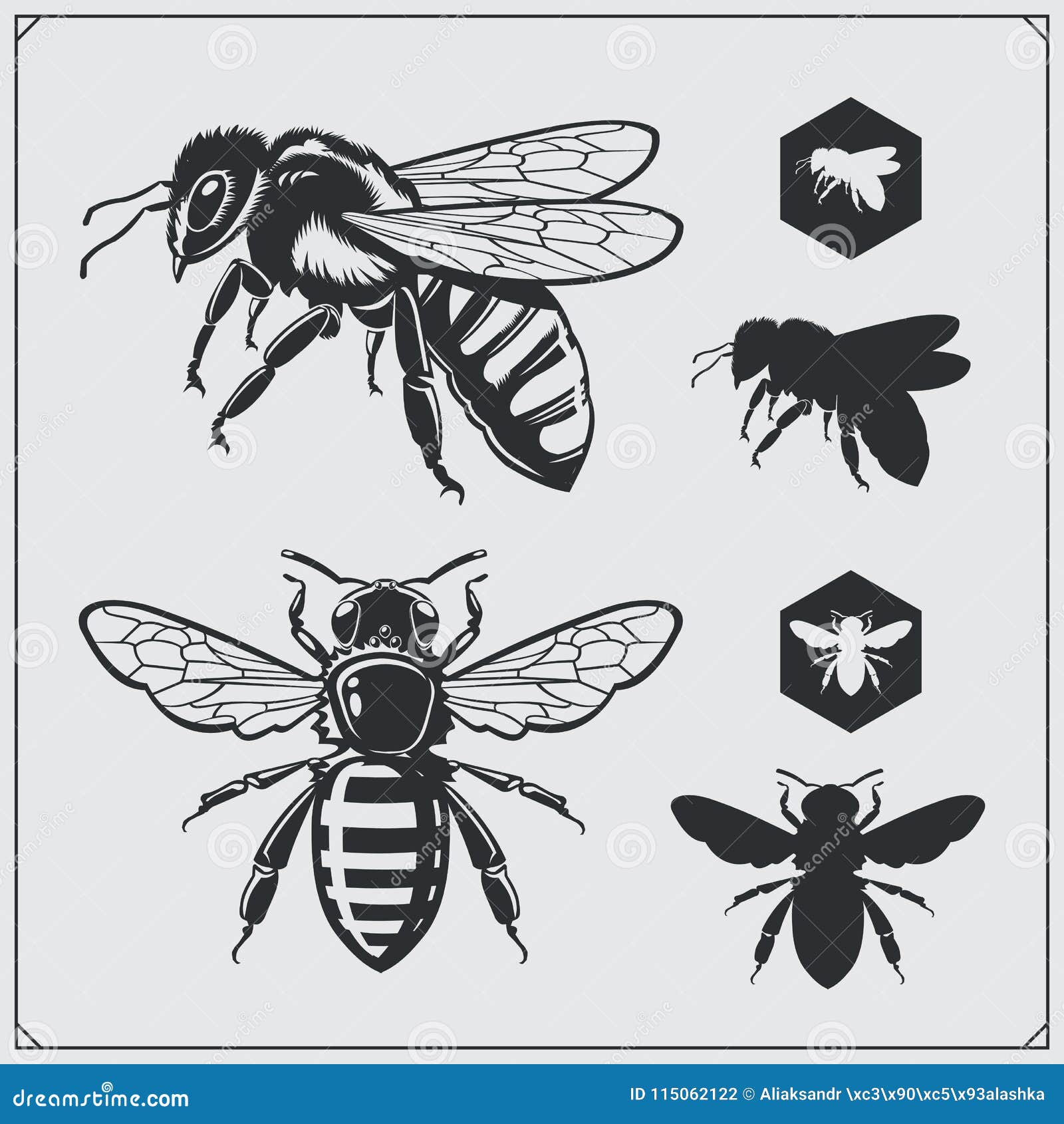 Honey Bee Stock Illustrations – 34,995 Honey Bee Stock Illustrations ...