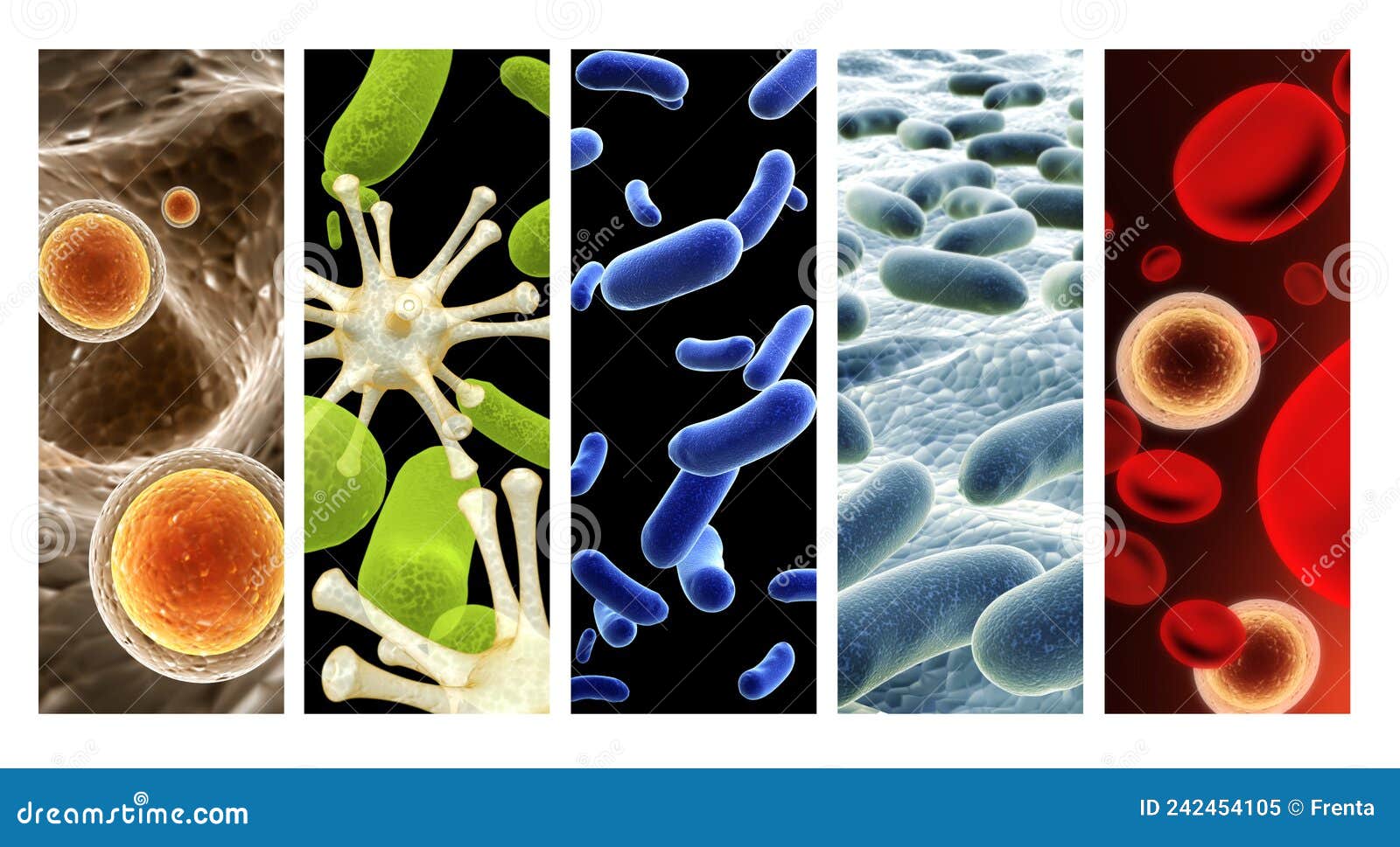 Set of Horizontal Banners with Pathogenic Bacterias and Viruses Stock ...