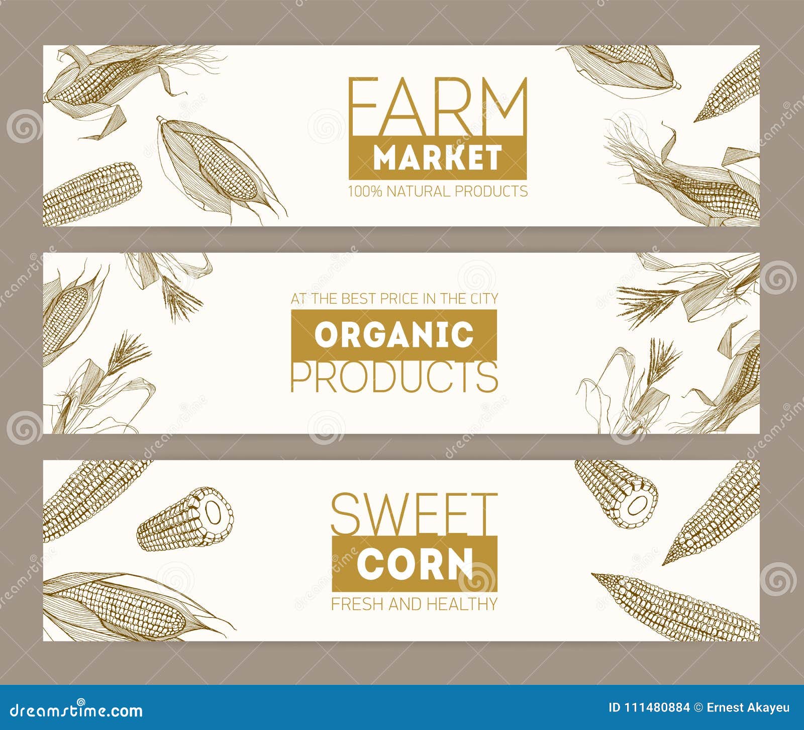 Set of Horizontal Banners with Realistic Cobs of Sweet Corn or Corncobs ...