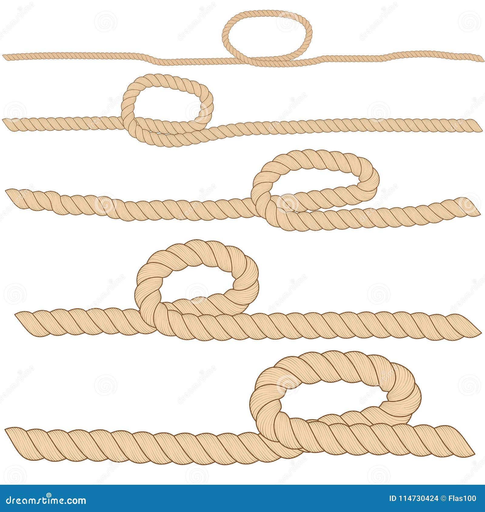 Set of Horizontal Brown Ropes with Loops are Isolated on White ...