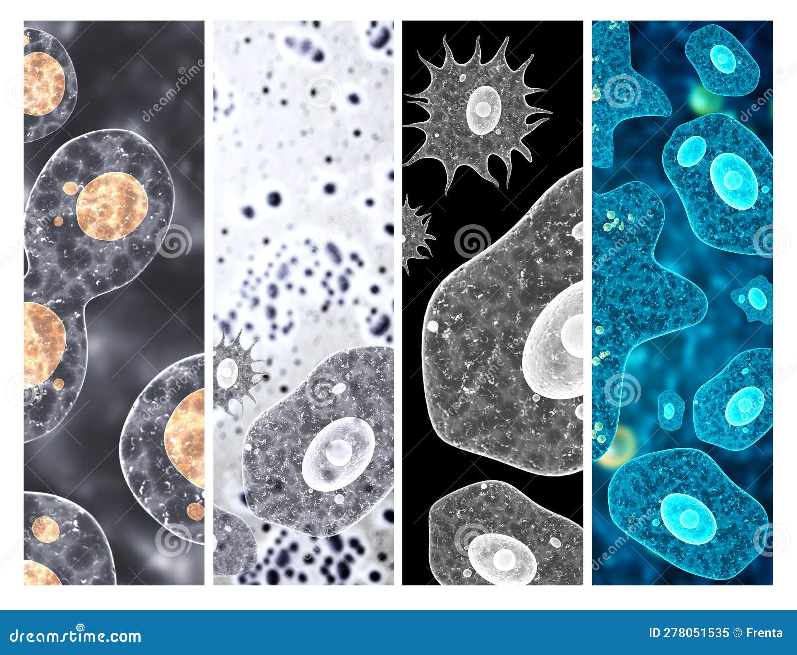 Set of Horizontal or Vertical Banner with Pathogenic Bacterias and ...