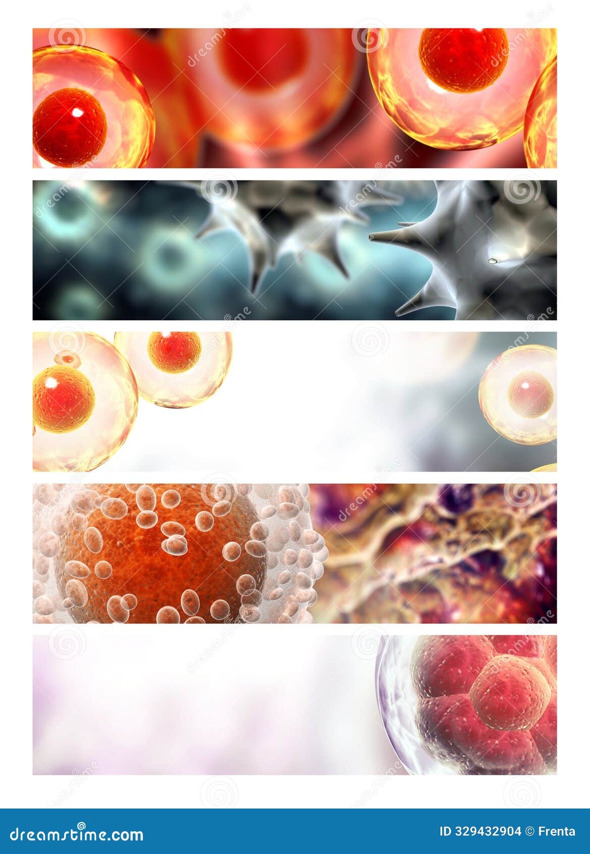 Set of Horizontal or Vertical Banner with Pathogenic Bacterias and ...