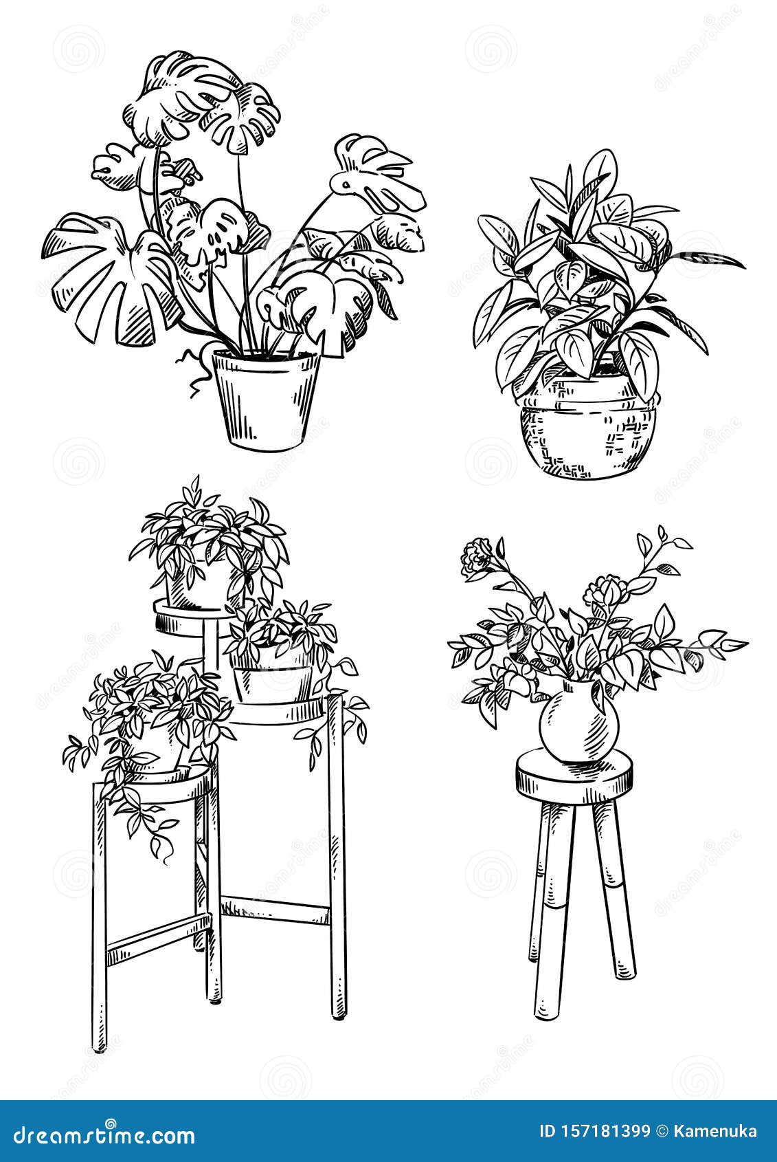 Set of House Plants in Pots Vector Drawings Stock Vector - Illustration ...