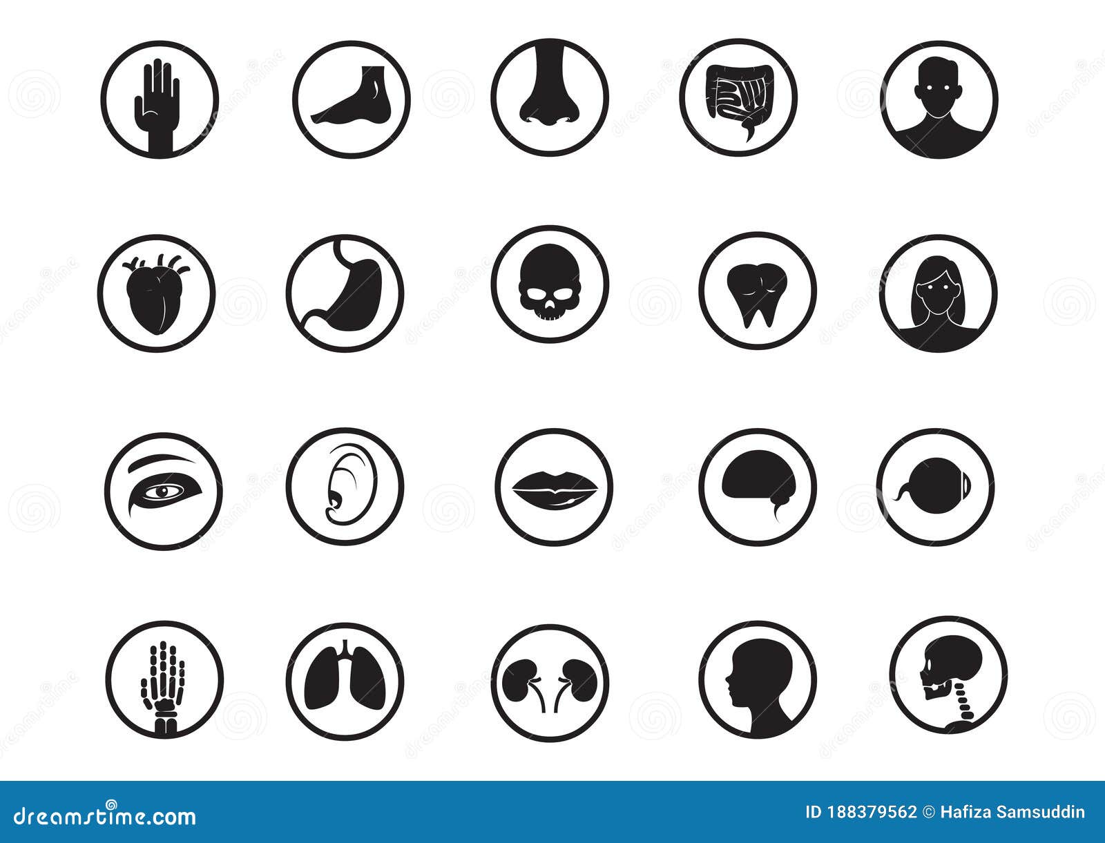 Set of Human Body Parts. Vector Illustration Decorative Design Stock ...
