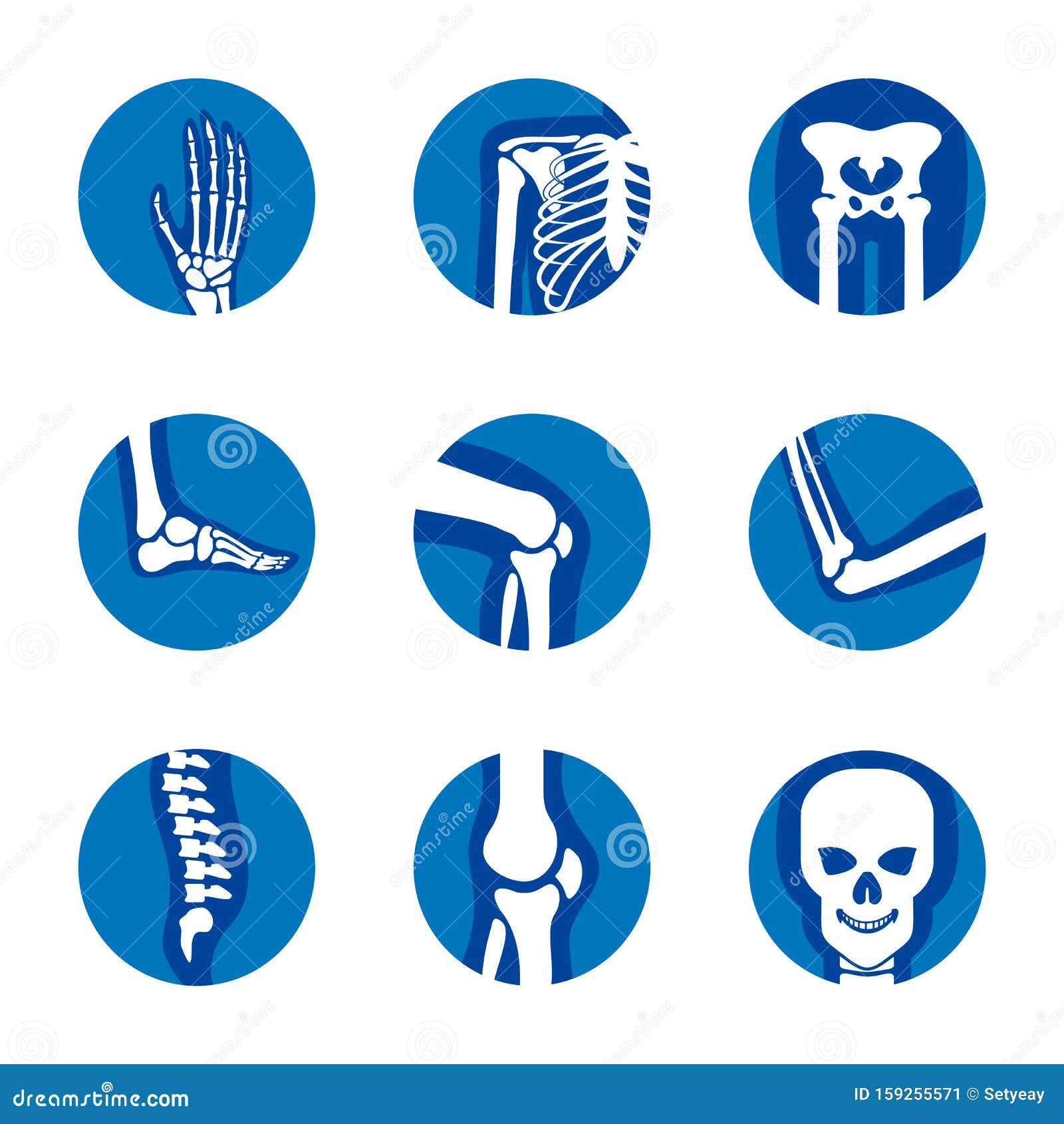 Set of Human Bone Orthopedic Logo Concept Vector. Bone X-ray Image of ...