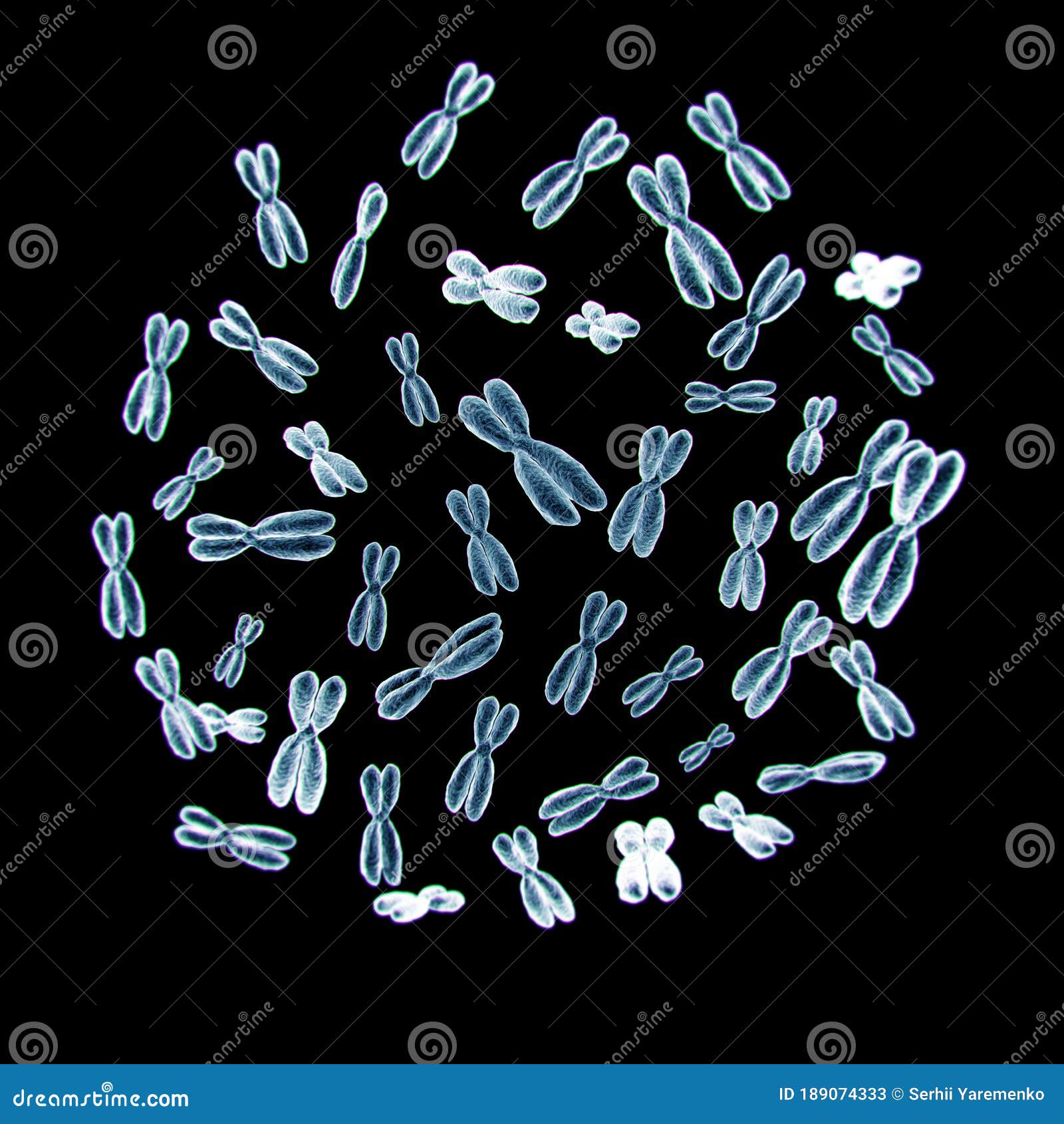 Set of human chromosomes stock illustration. Illustration of gender ...