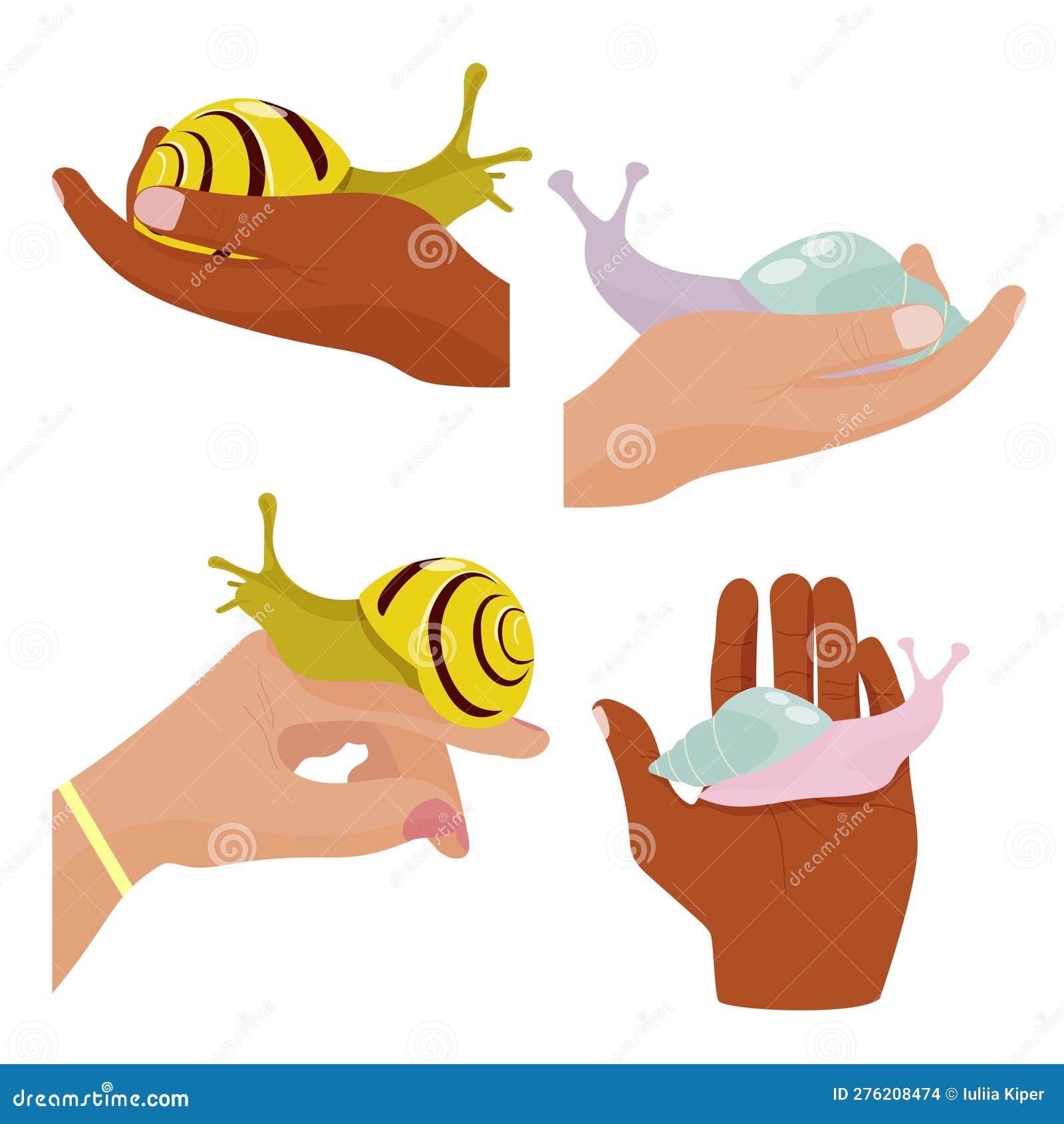 Set of Human Hands Holding Snails. Concept Snail As a Pet Stock Vector ...