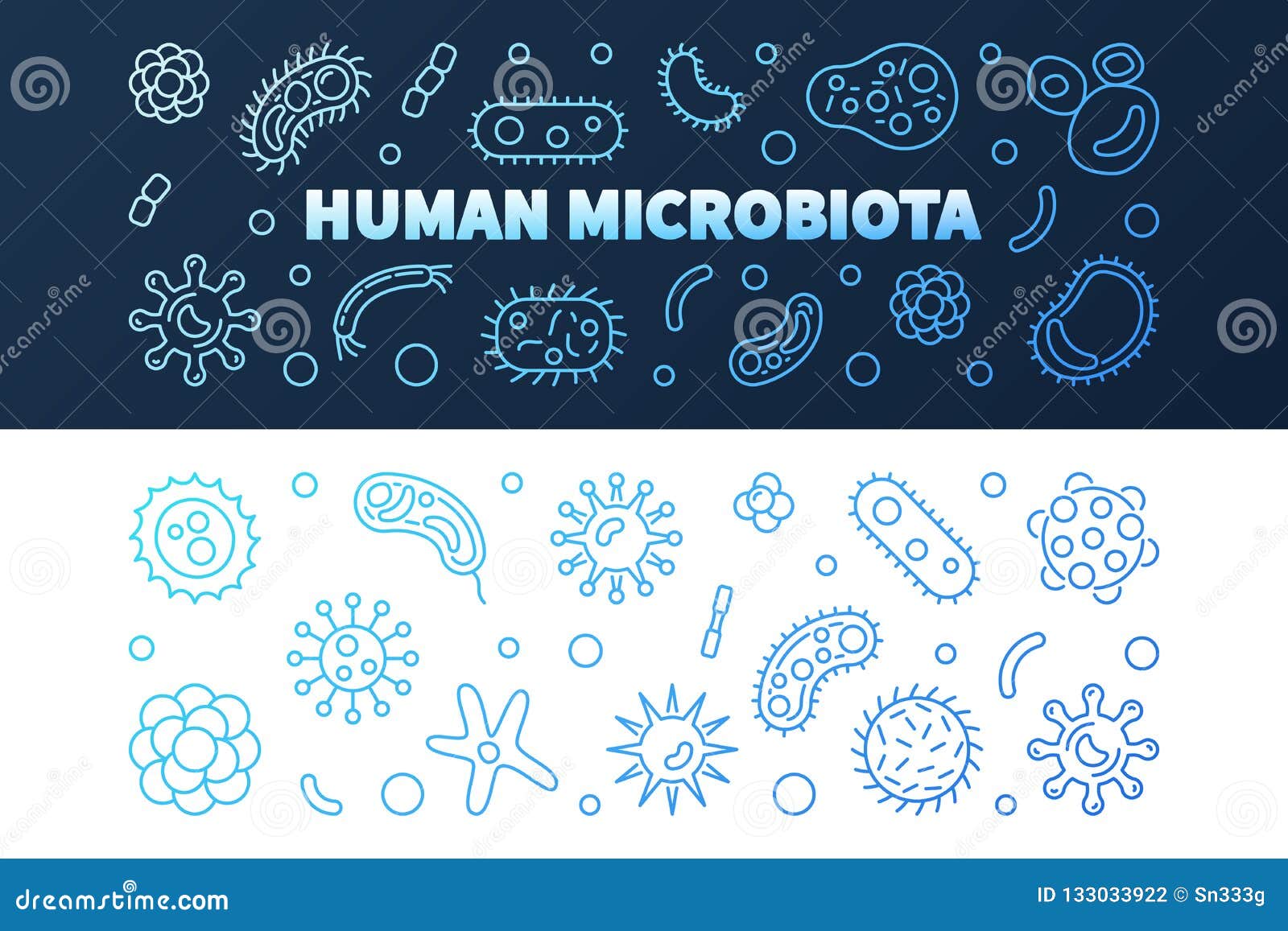 Set of 2 Human Microbiota Blue Vector Outline Banners Stock Vector ...