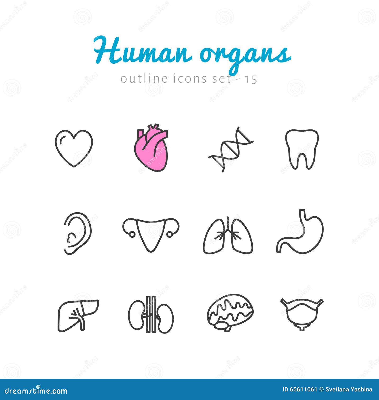 Set of human organs icons stock vector. Illustration of element - 65611061