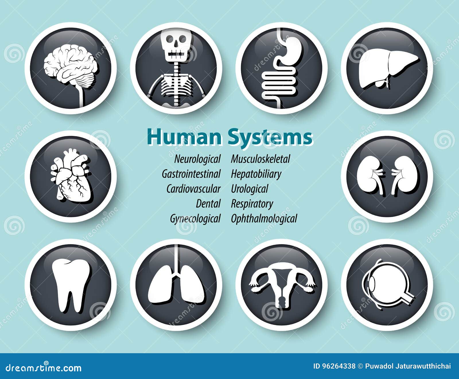 Human Systems Badges Light Vector Illustration | CartoonDealer.com ...