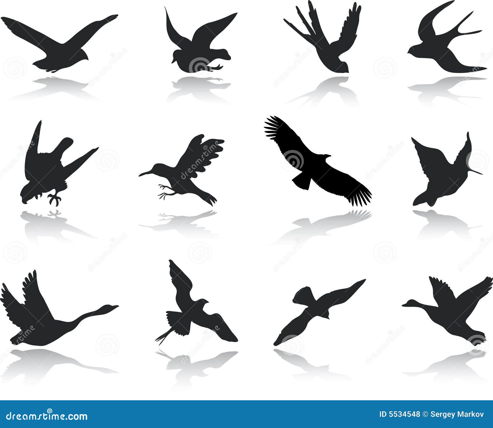 Set icons - 13. Birds stock vector. Illustration of hawk - 5534548