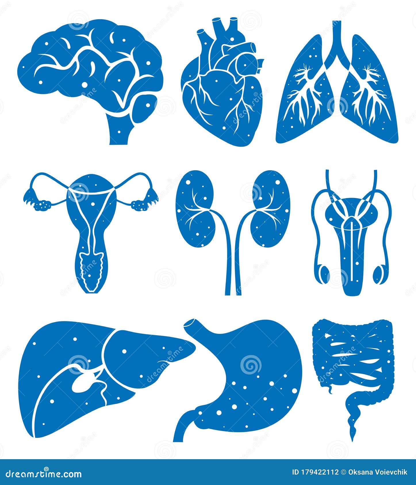 Icons of Human Internal Organs Vector Stock Vector - Illustration of ...