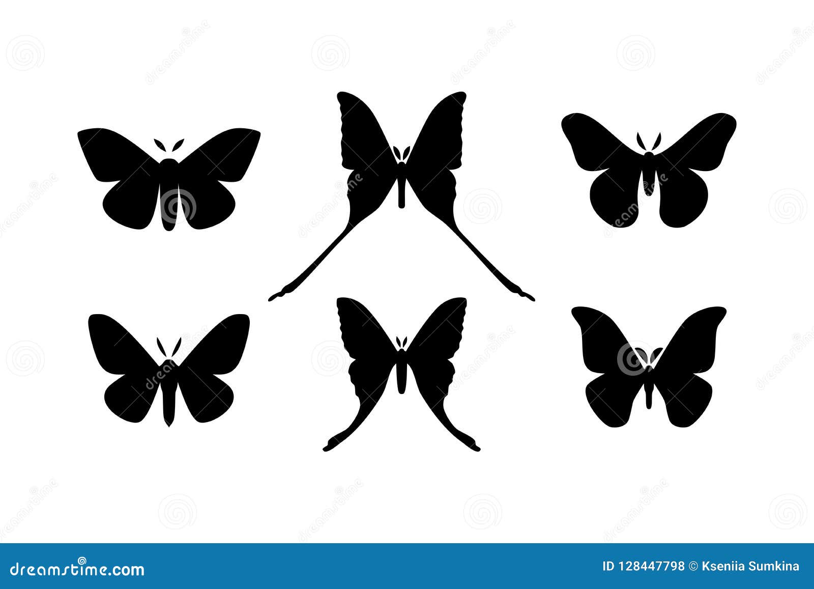 Peppered Moth, Biston Betularia Melanic And Light Form. Vector ...