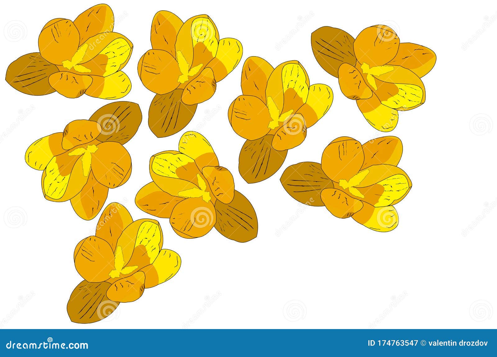 Set of Illustrated Abstract Flowers Isolated on White Background Top ...