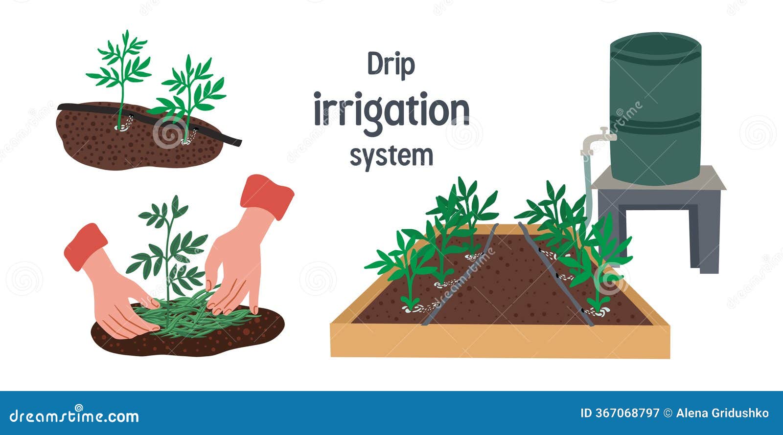 Dip Irrigation System Isolated Cartoon Vector Illustrations ...