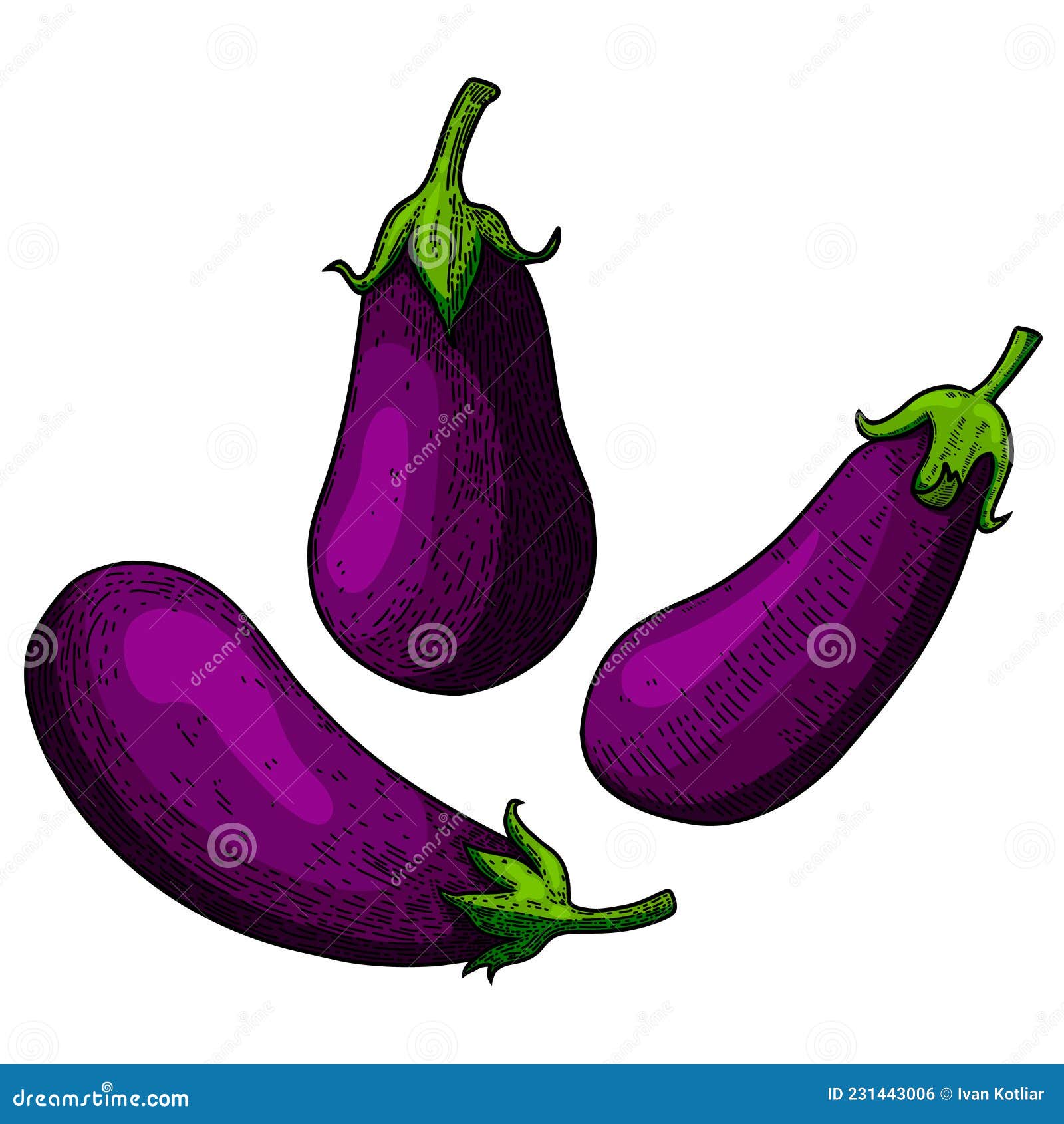 Set of Illustration of Eggplant in Engraving Style. Design Element for ...