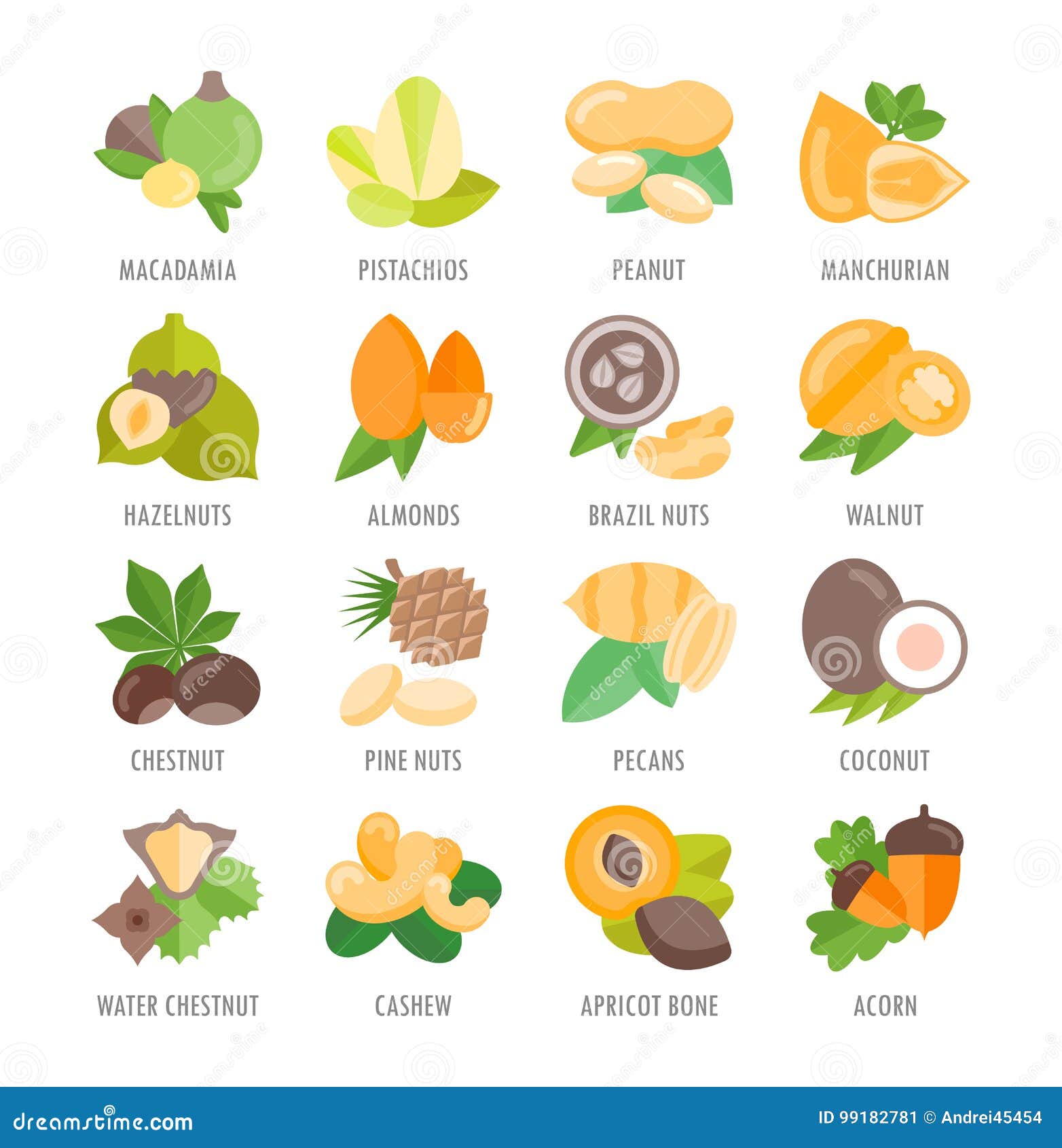 Set of Icons of Nuts with Names Stock Illustration - Illustration of ...