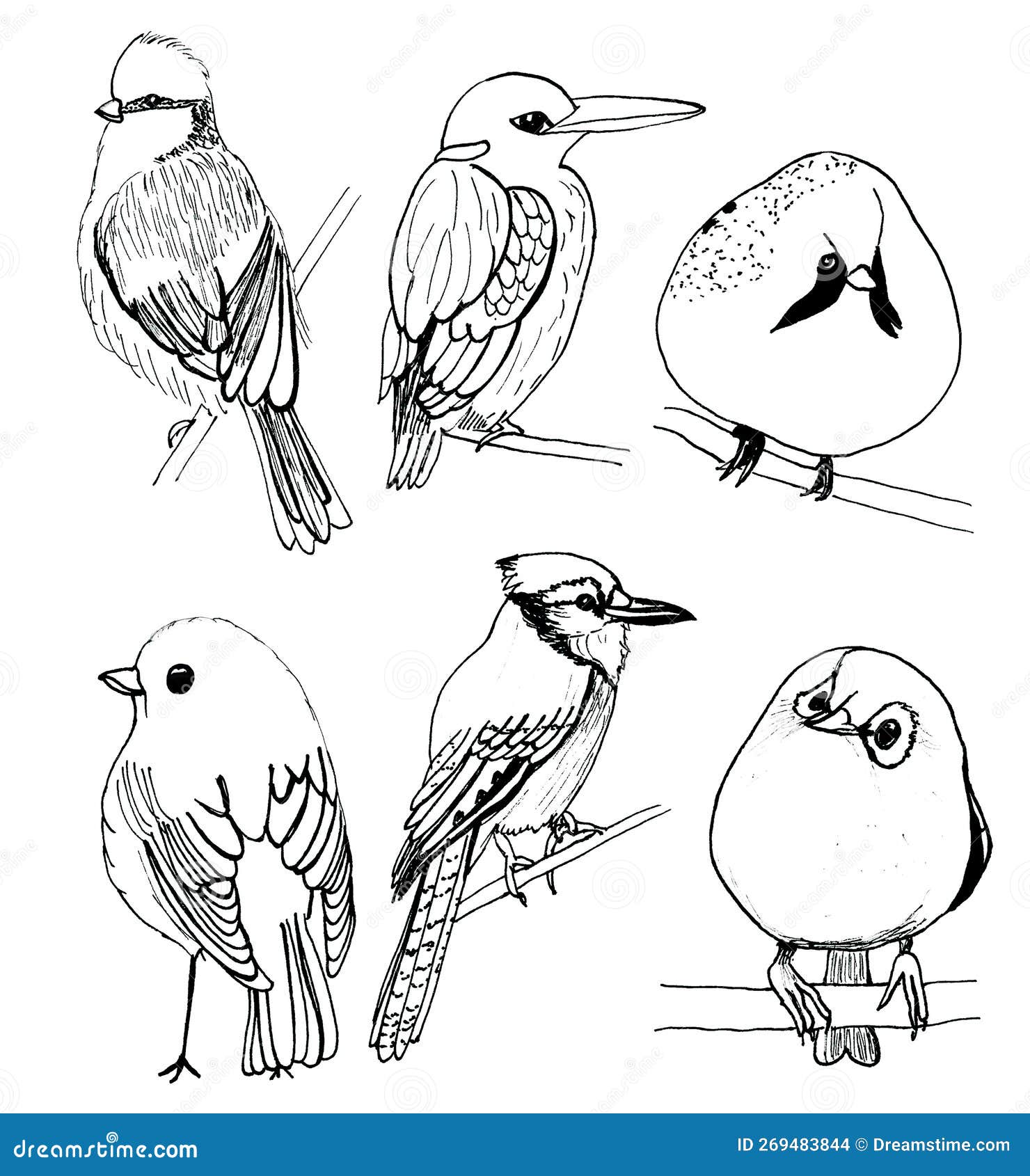 Set of Illustrations of Birds in Graphics Stock Illustration ...