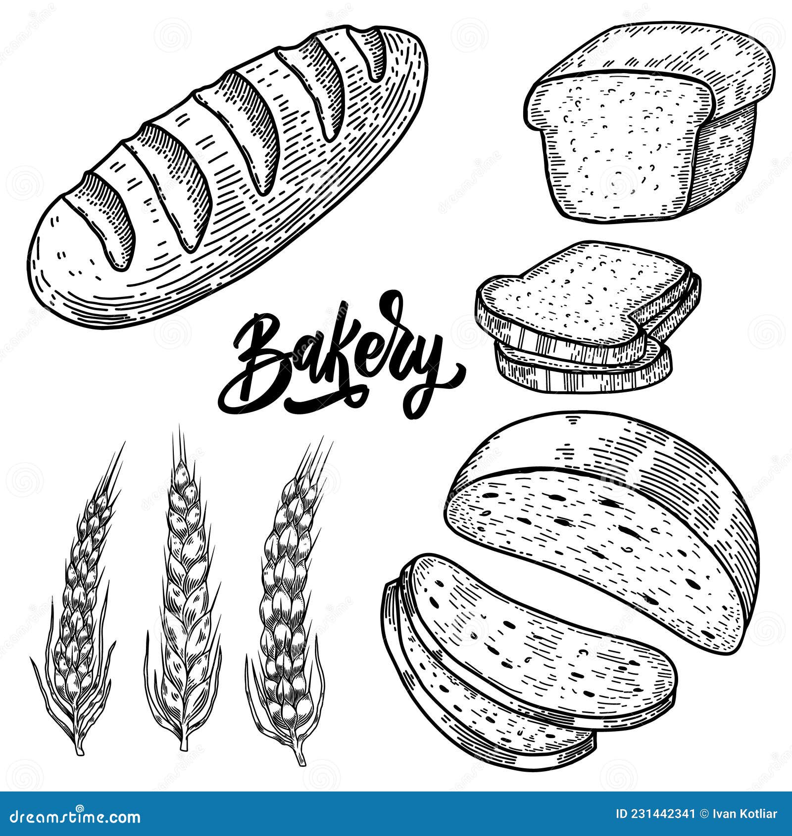 Set of Illustrations of Bread in Engraving Style. Design Element for ...