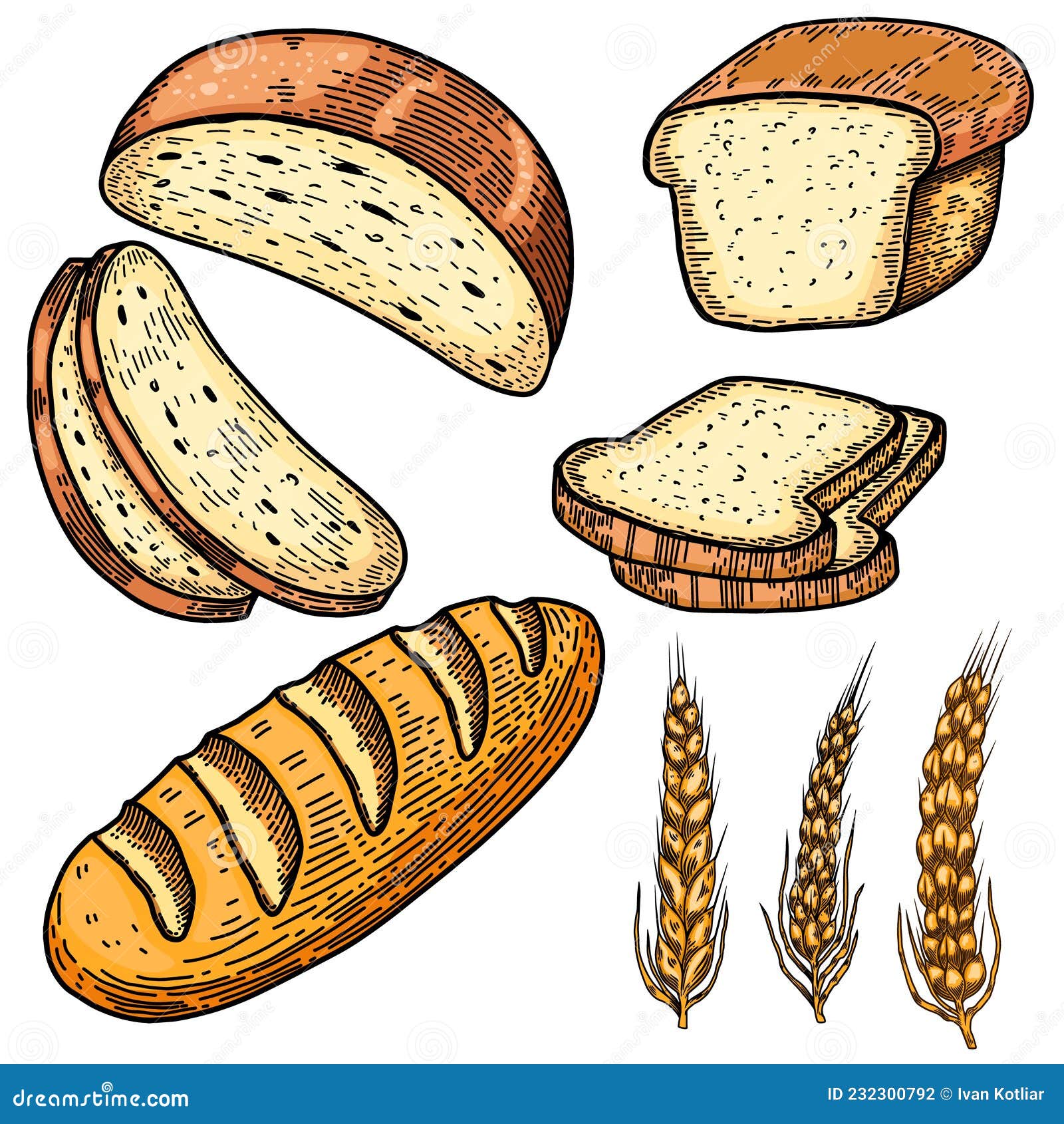 Set of Illustrations of Bread in Engraving Style. Design Element for ...