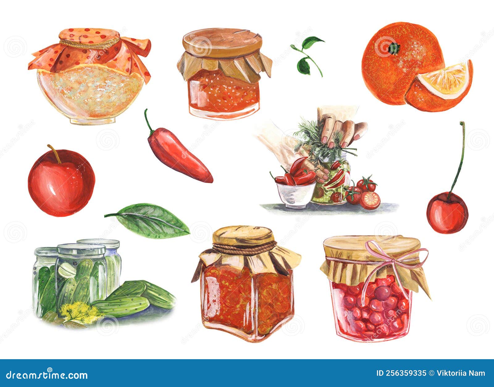 Set of Illustrations Conservation Stock Illustration - Illustration of ...