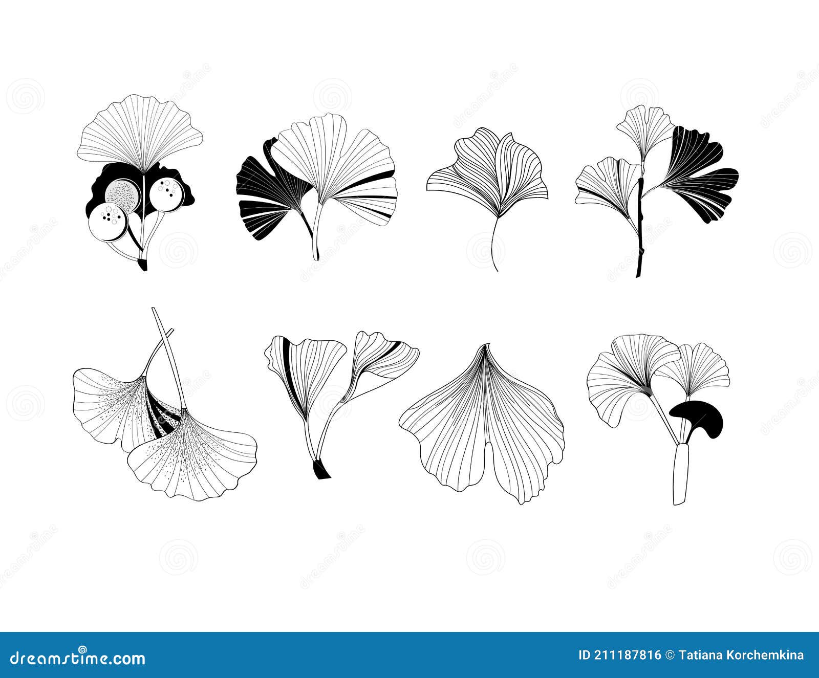A Set of Illustrations of Ginkgo Plant Icons on a White Background Stock Vector - Illustration ...