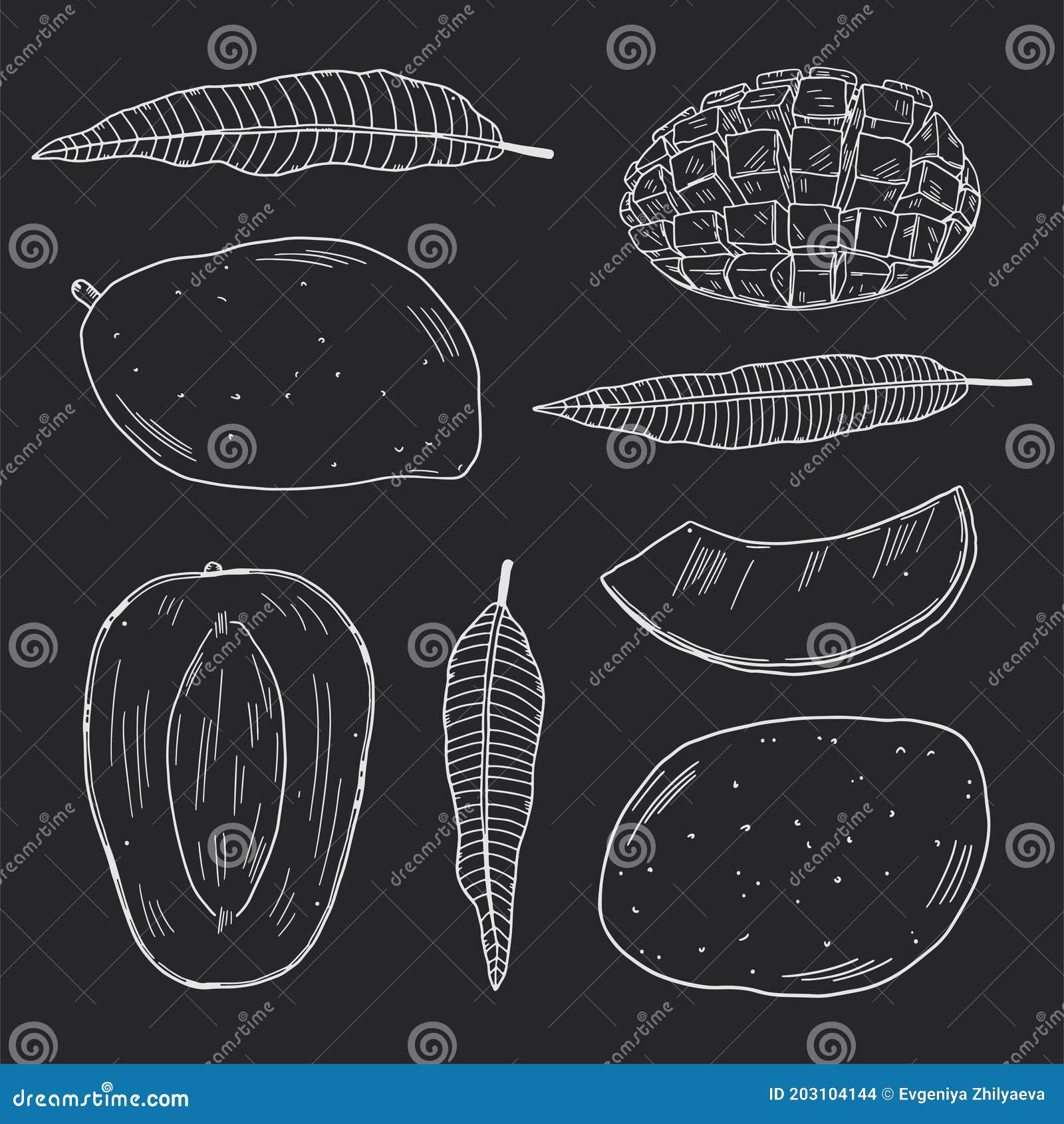 A Set of Illustrations of Mango Fruits in Different Types and Leaves of ...