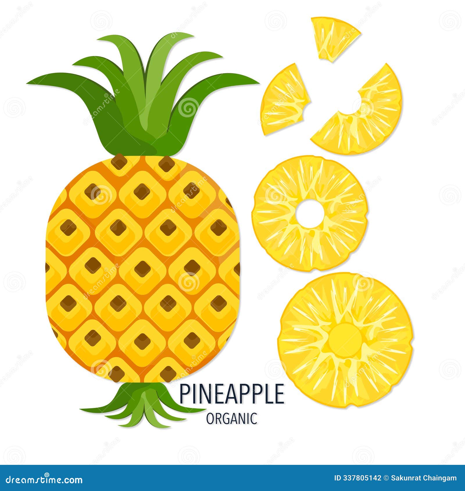 Set of Illustrations of Pineapple Pineapples and Slices Isolated on White Background, Vector ...