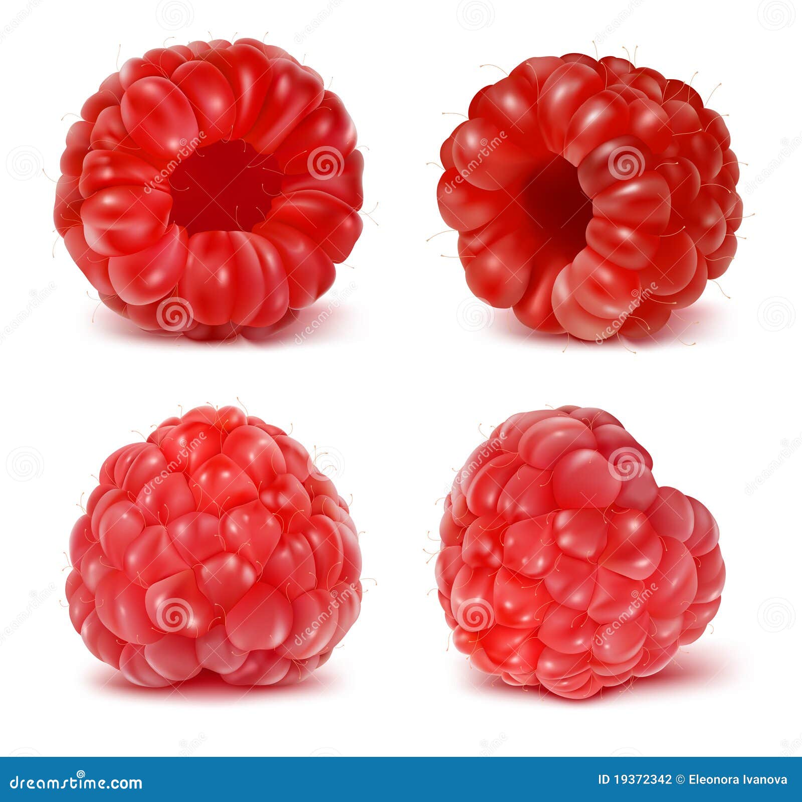 Set Illustrations of Ripe Raspberries. Stock Vector - Illustration of ...
