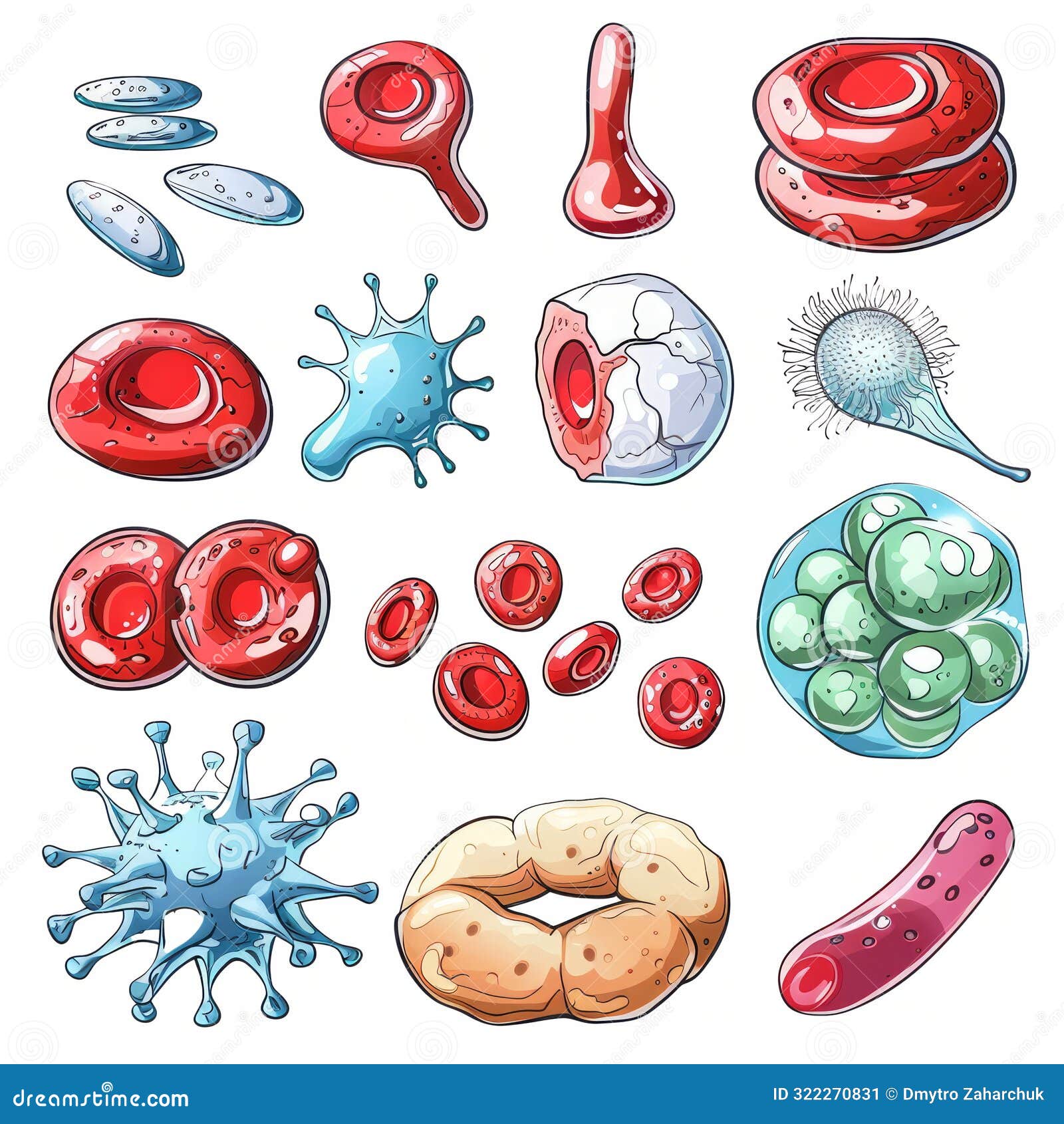 A Set Illustrations Showcasing Different Types of Human Cells ...