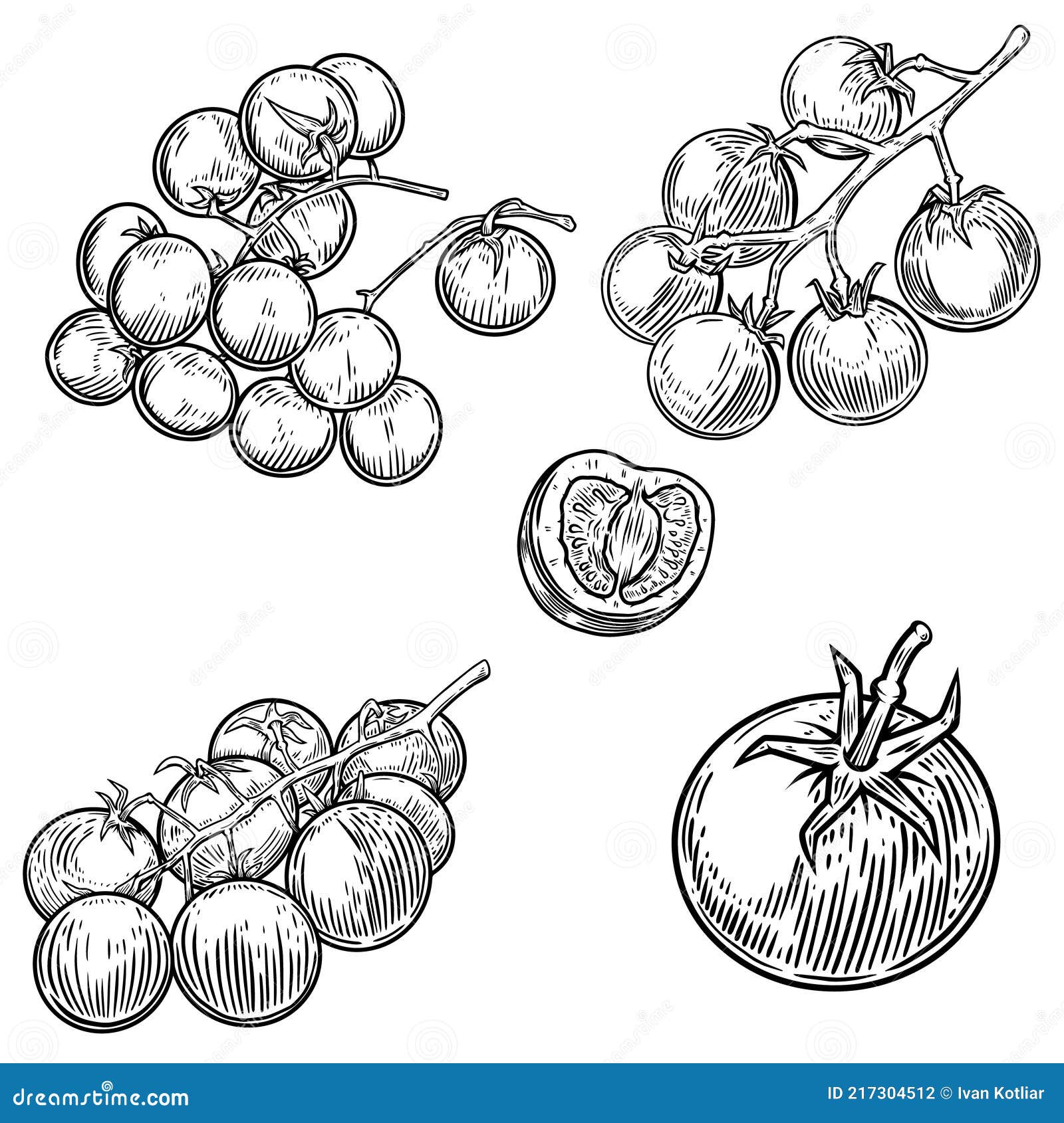 Set of Illustrations of Tomatoes Isolated on White Background. Design ...
