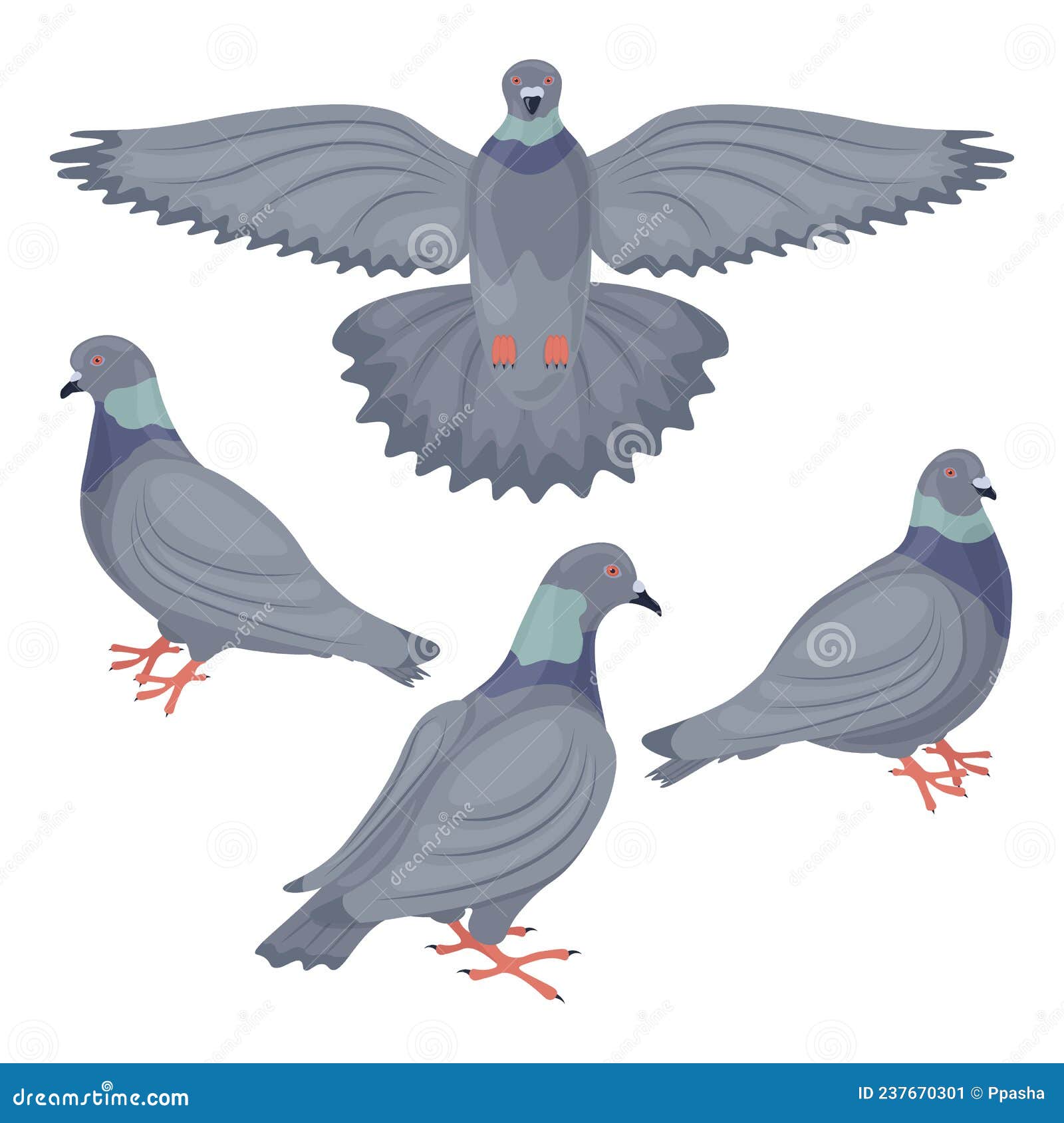 A Set with the Image of Pigeons. Pigeons Depicted from Different Angles ...