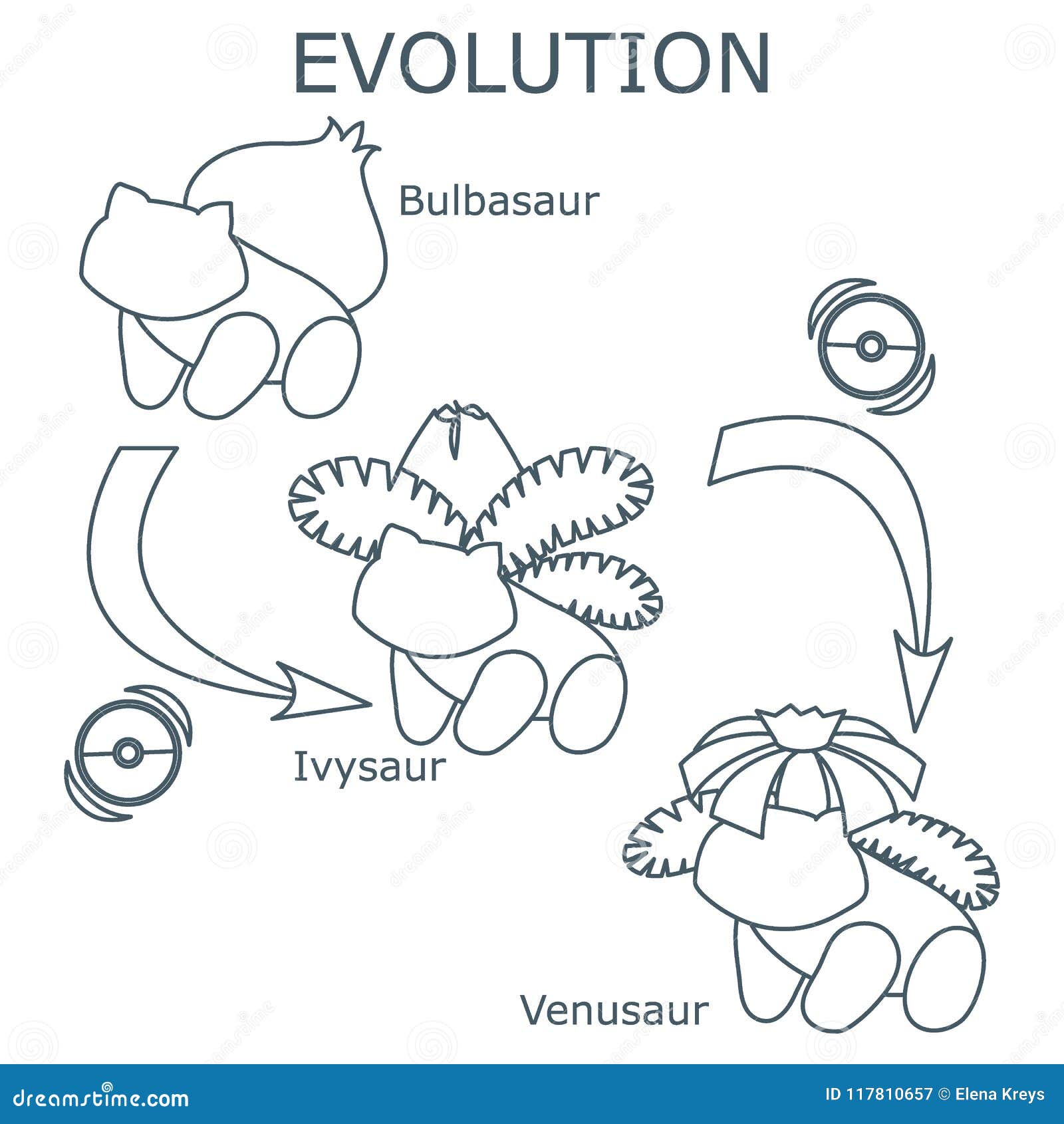 Pokemon Evolution Screen
