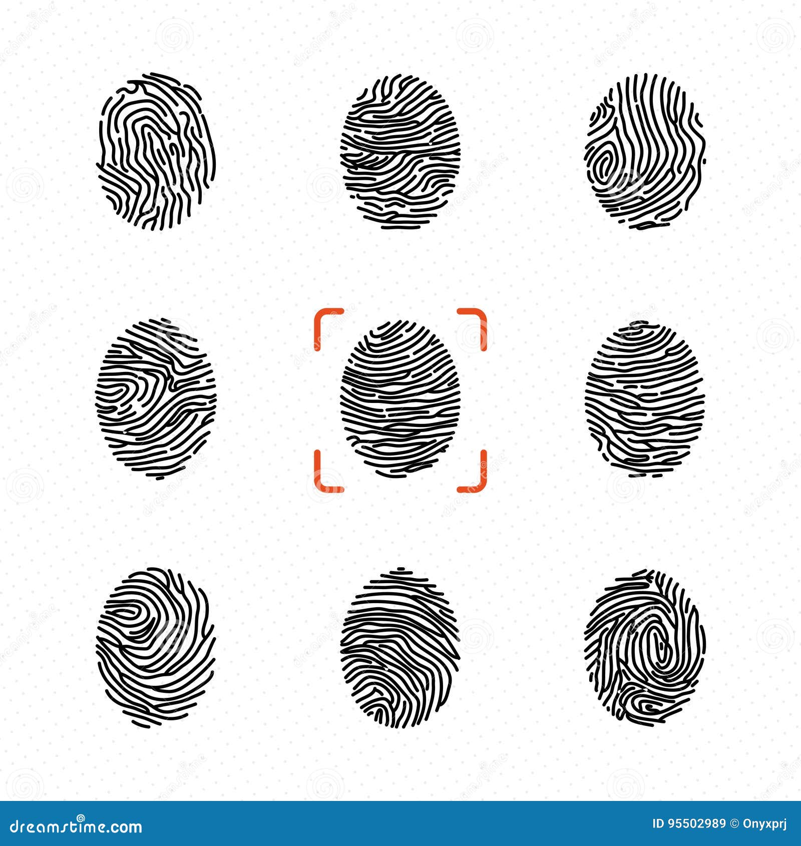Set Of Individual Fingerprints For Personal Identification. Vector ...