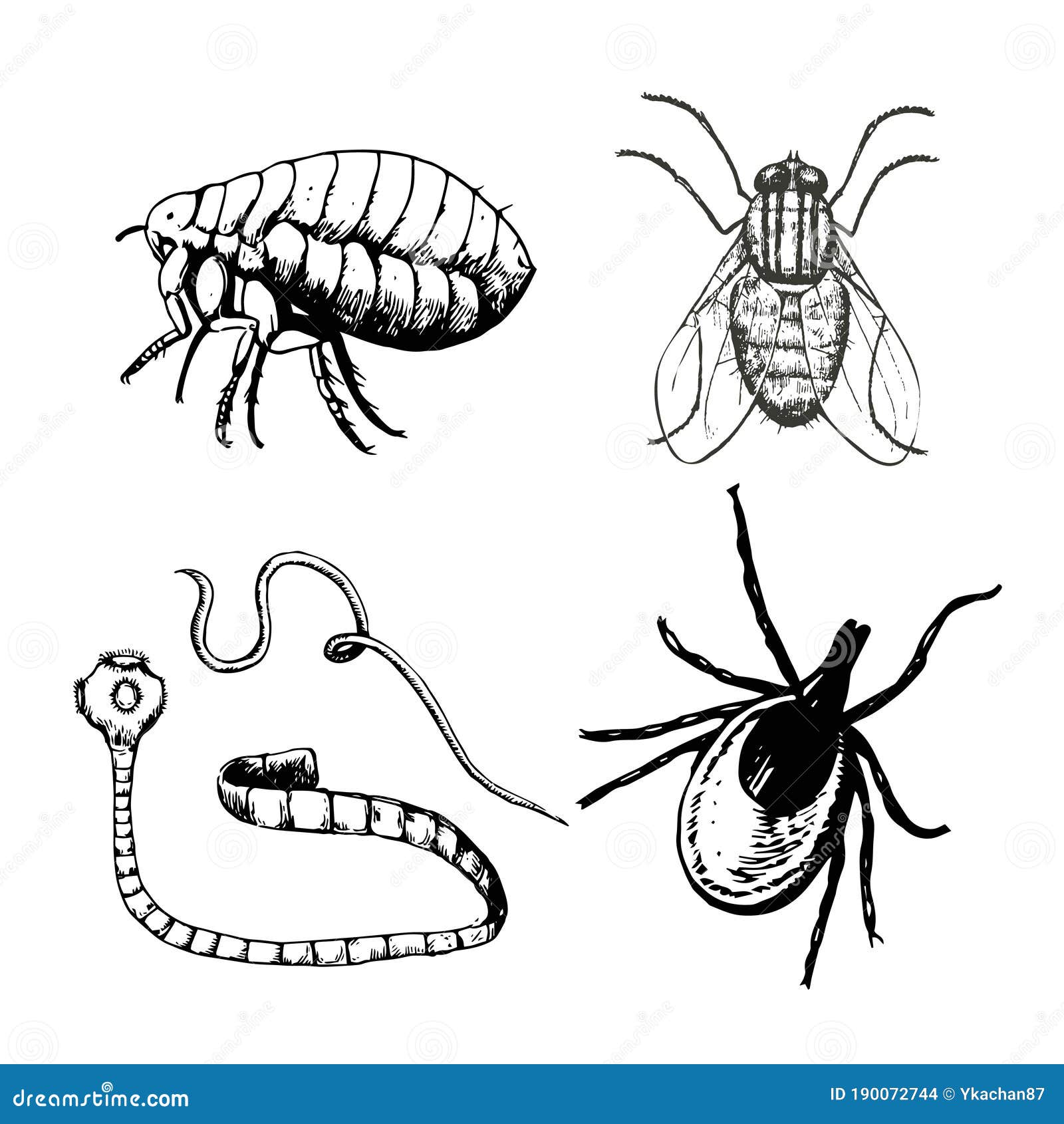 Mite. Vector Drawing | CartoonDealer.com #78605278