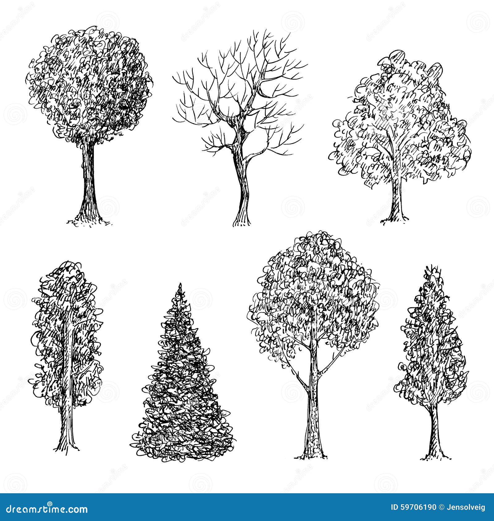 Set of Ink Hand Drawn Black and White Trees Stock Vector - Illustration ...