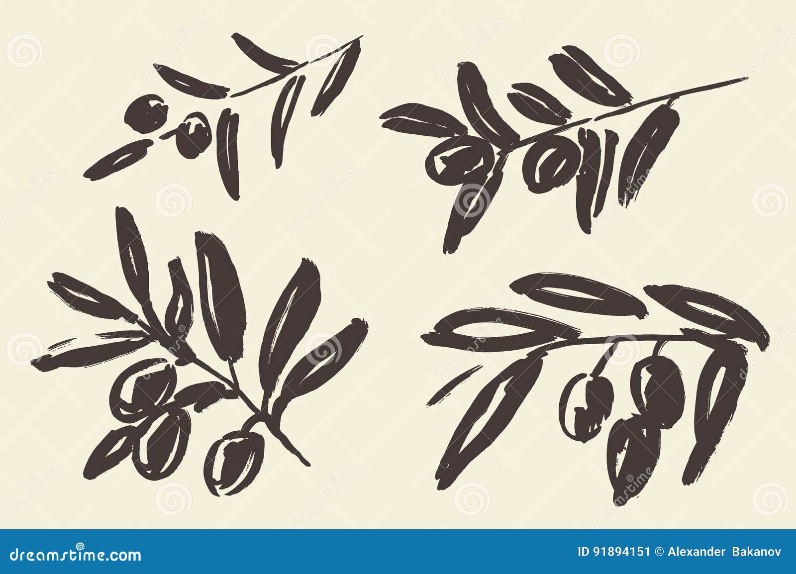 Set Ink Hand Drawn Olive Tree Branches Vector Stock Vector ...