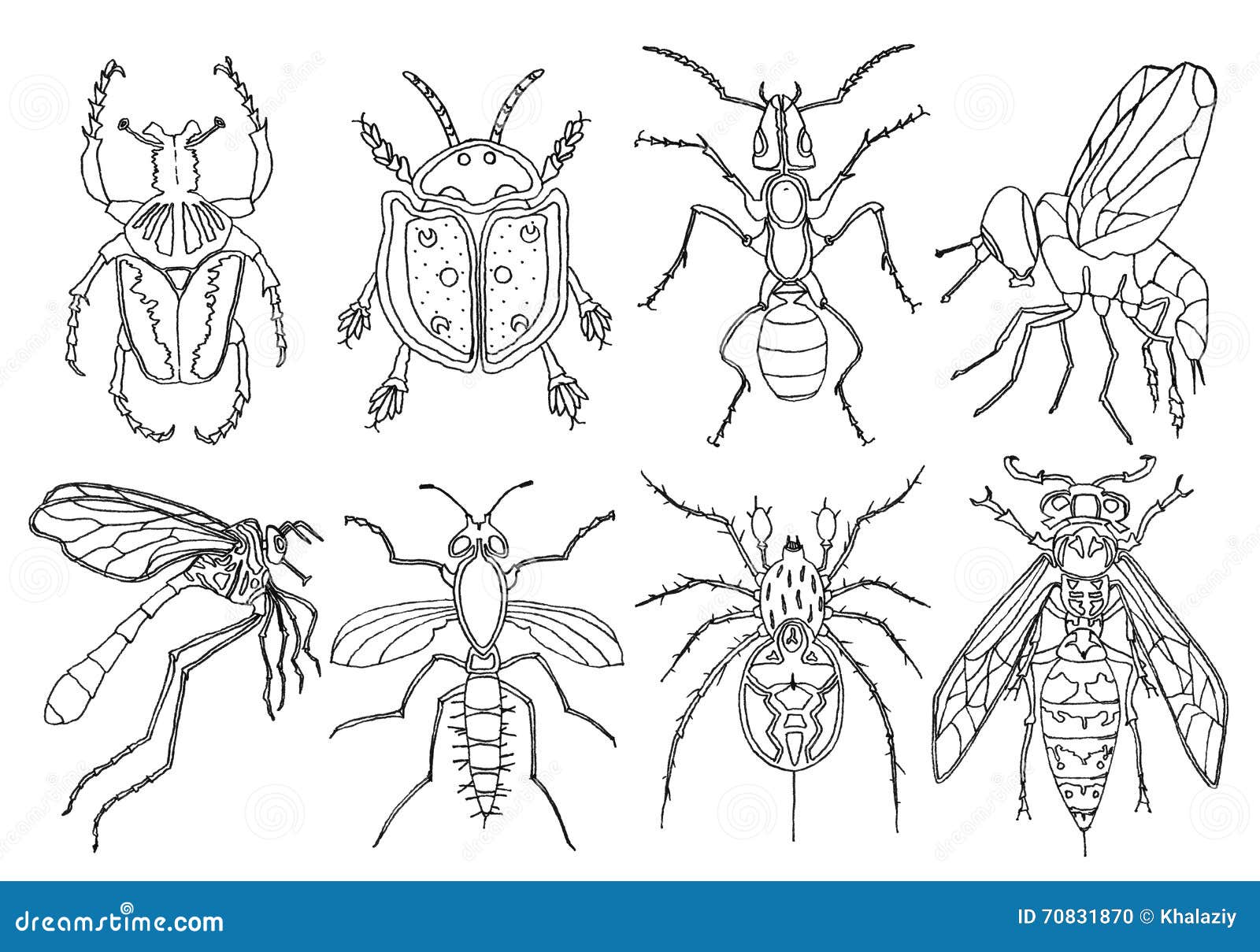 Set of Ink Illustration of Insects Stock Illustration - Illustration of ...