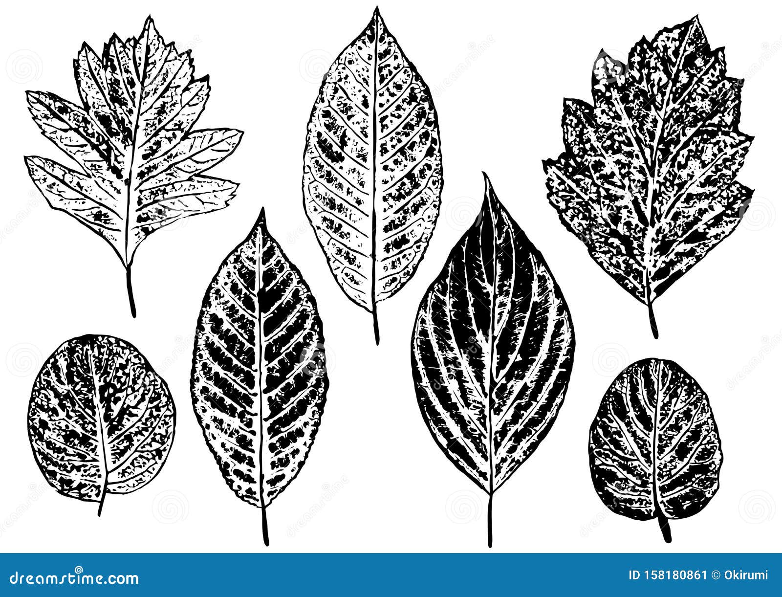 Set of Ink Prints of Stamped Leaves Stock Vector - Illustration of line ...