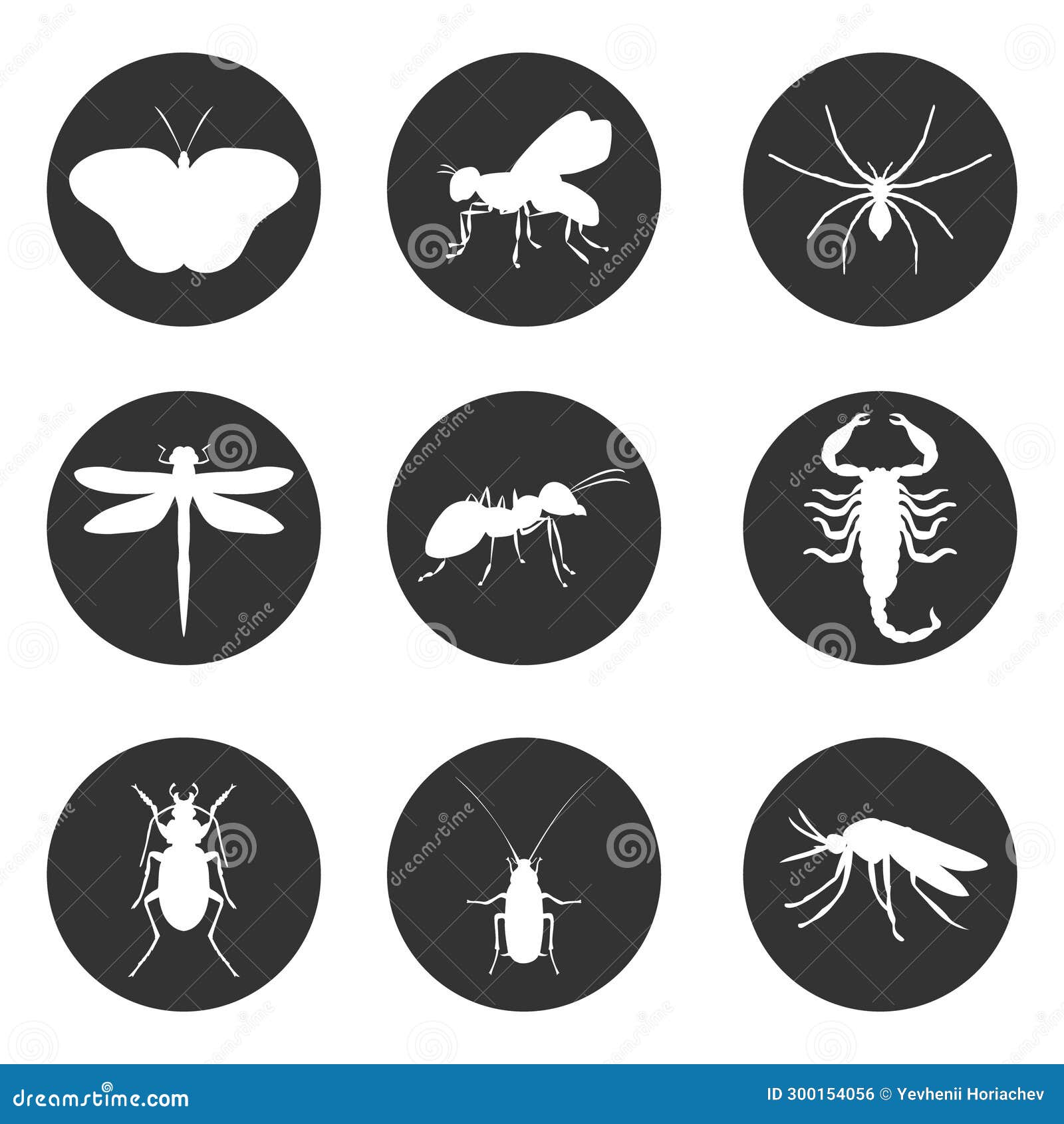 Set of Insect Icons. White Icons in Round Black Frames Stock Vector ...