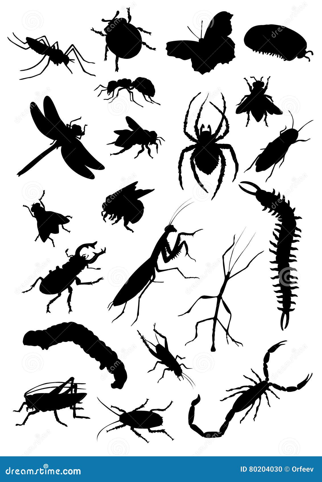 Set of insect silhouettes stock vector. Illustration of back - 80204030
