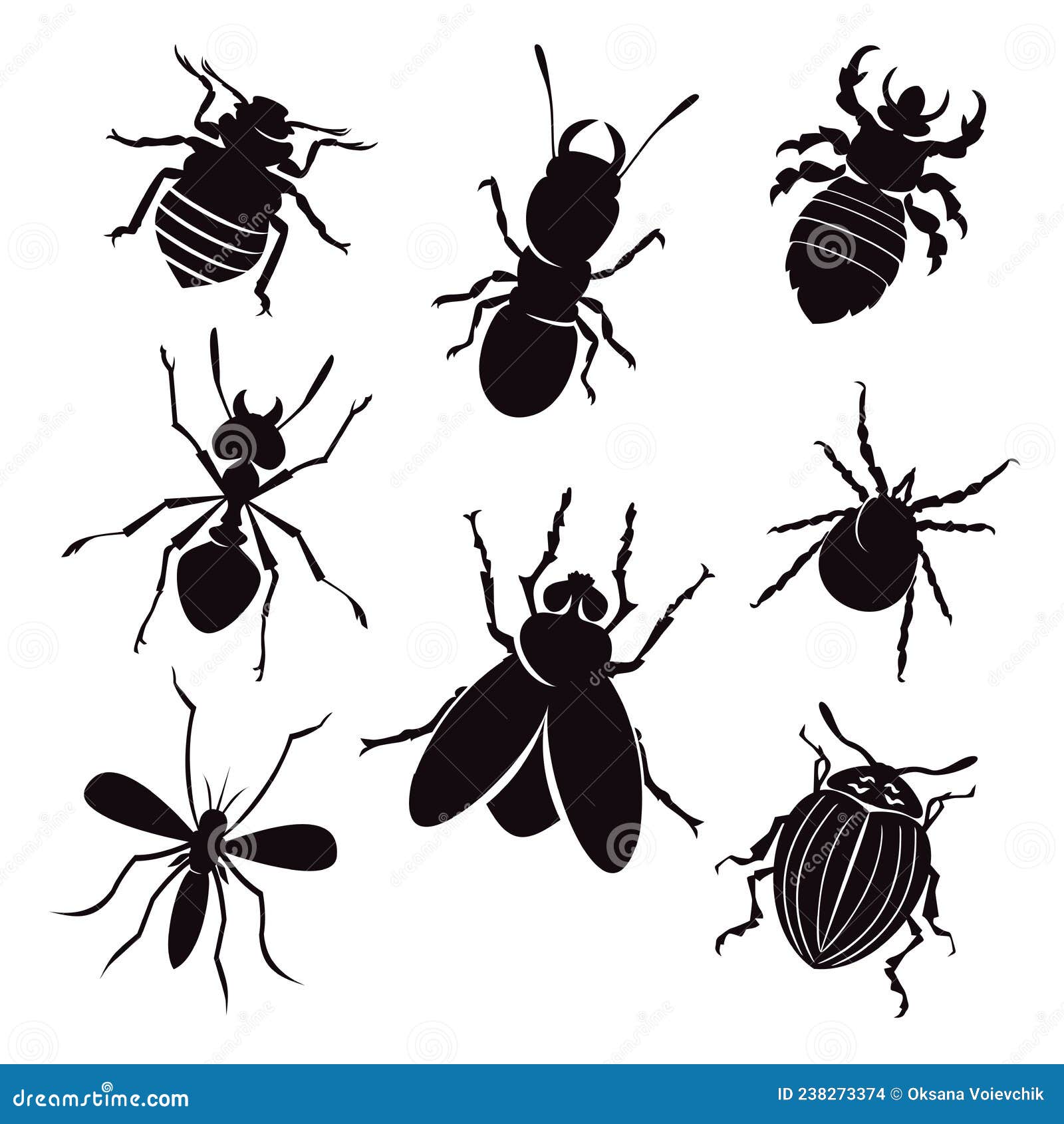 Set of insect silhouettes stock vector. Illustration of design - 238273374