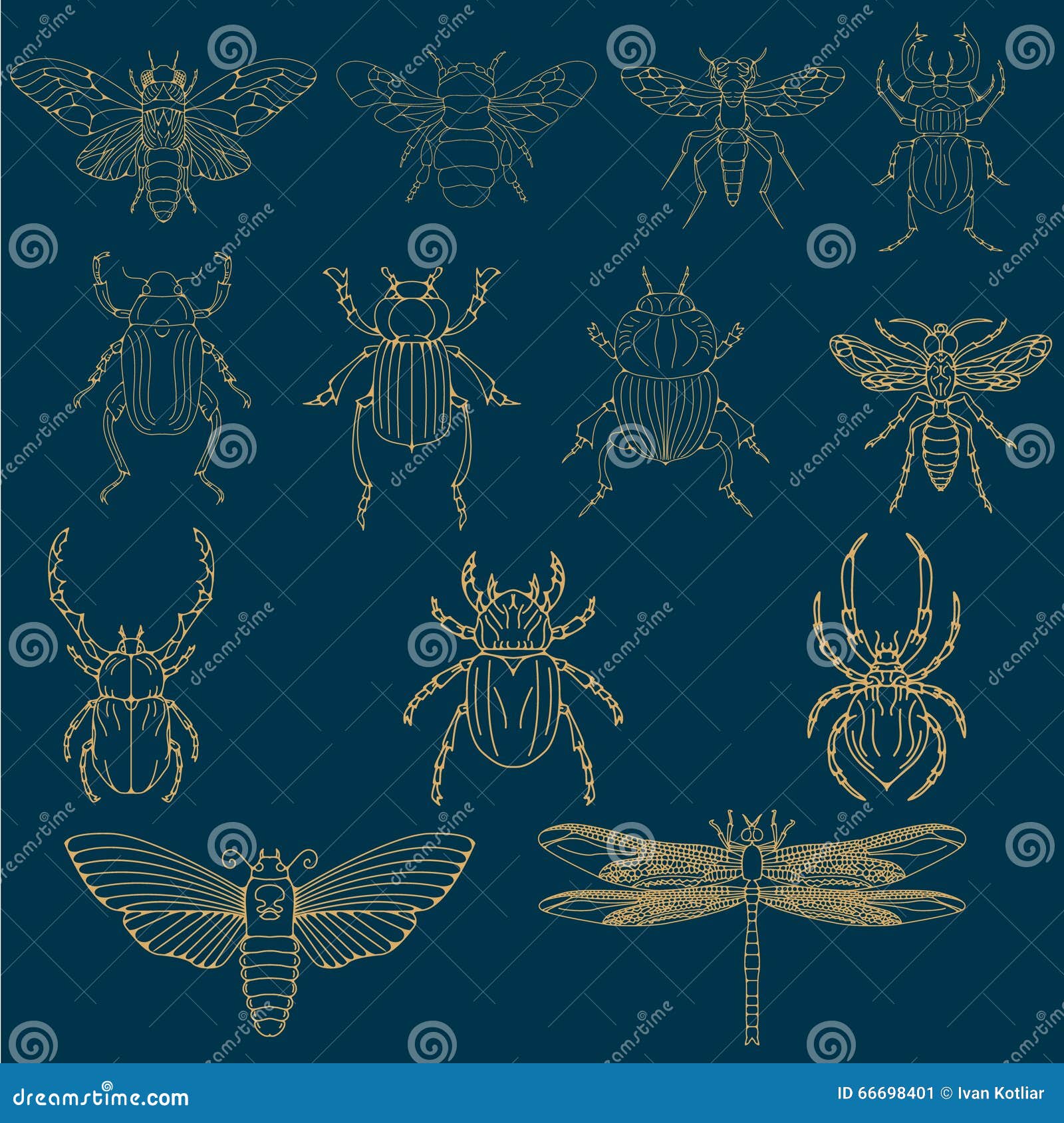 Set of the Insects. Vector Design Elements Stock Vector - Illustration ...